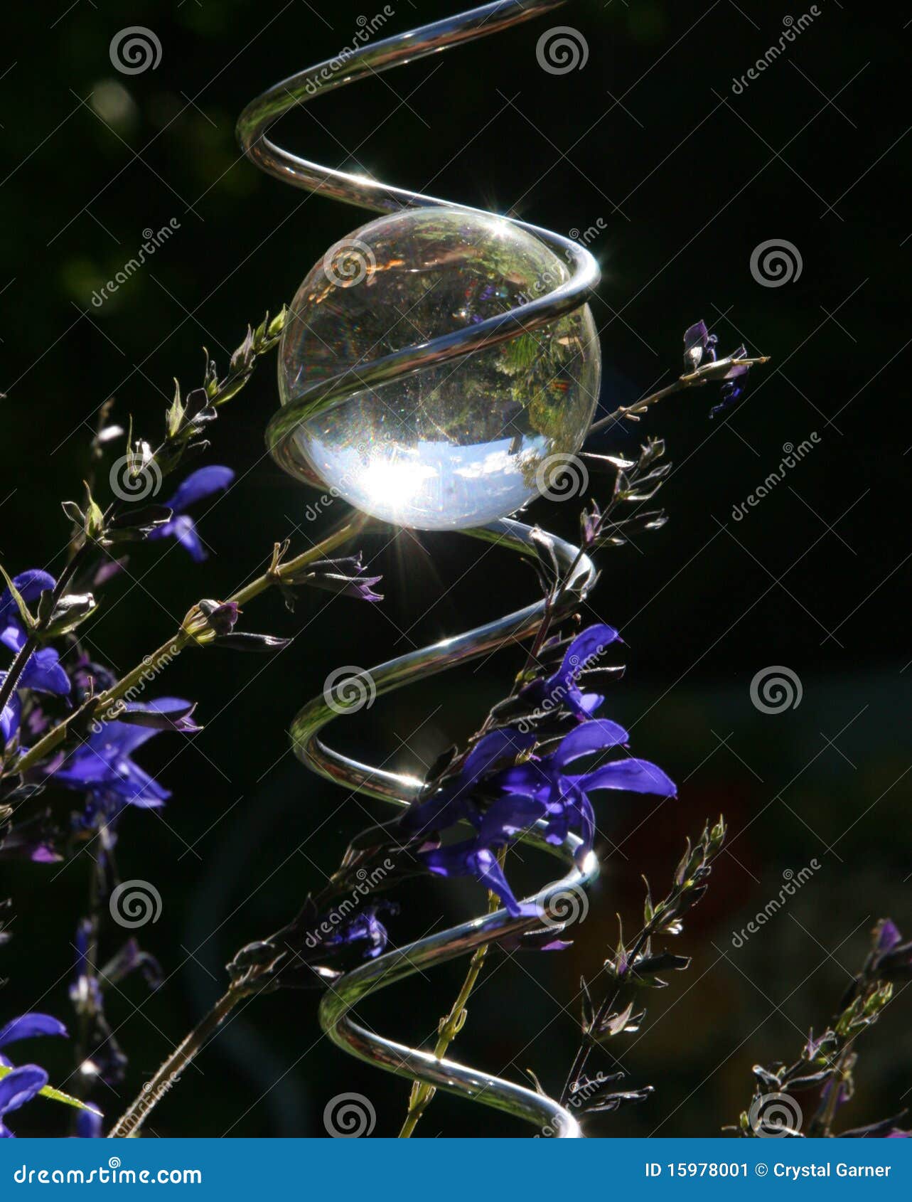 Crystal Ball stock image. Image of shinning, transparent - 15978001