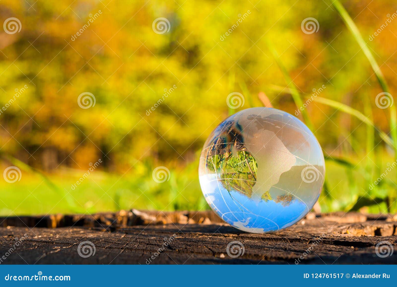 Crystal Ball on an Autumn Background Stock Image - Image of ground ...