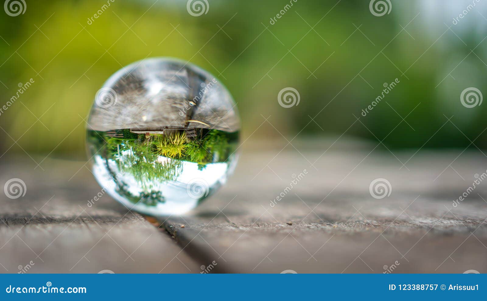 Crystal Ball With Green Tree Stock Image Image Of Light Bright 123388757