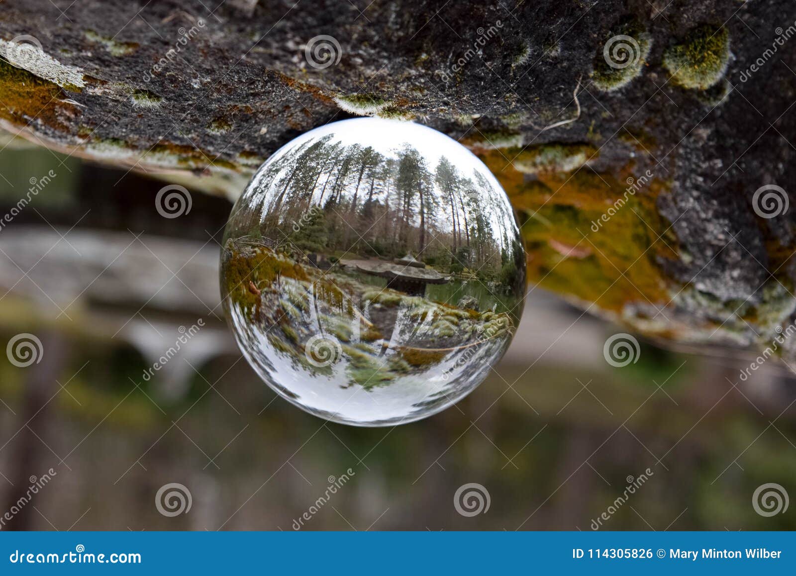 Crystal Ball and Japanese Gardens Editorial Photo - Image of japanese ...