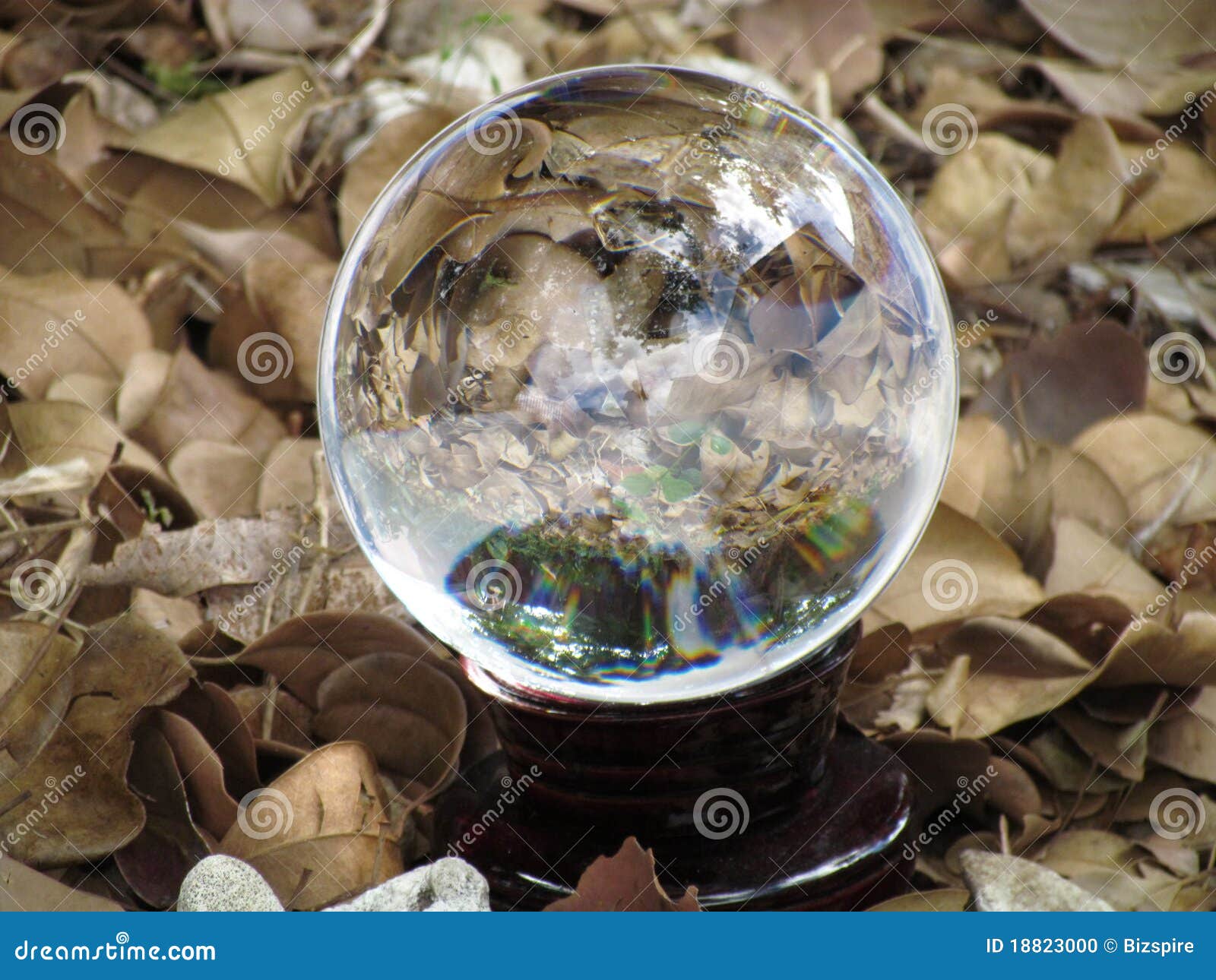 Crystal Ball on Leaves stock photo. Image of teller, leaves - 18823000