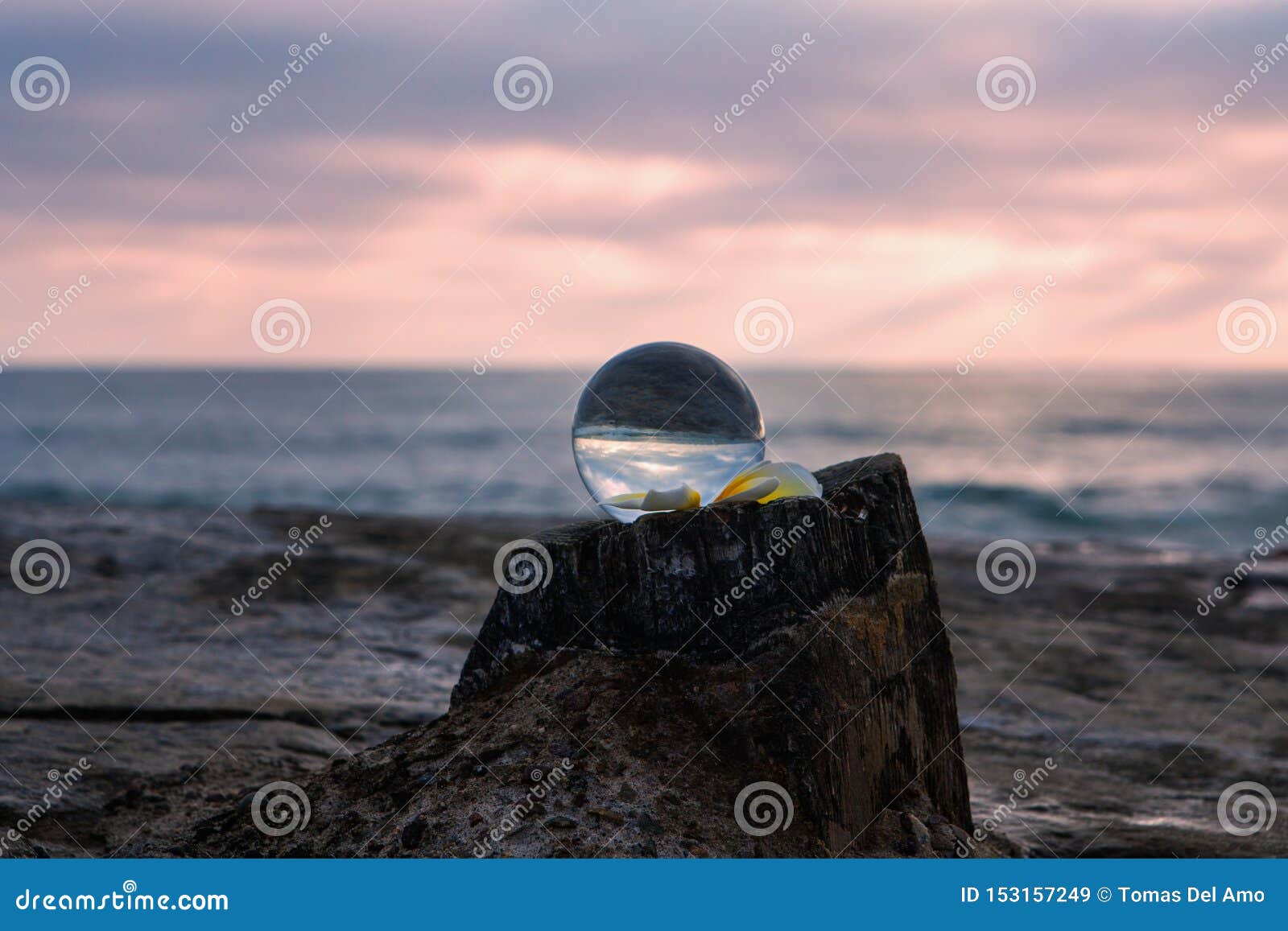 Crystal ball by the ocean stock image. Image of flower - 153157249