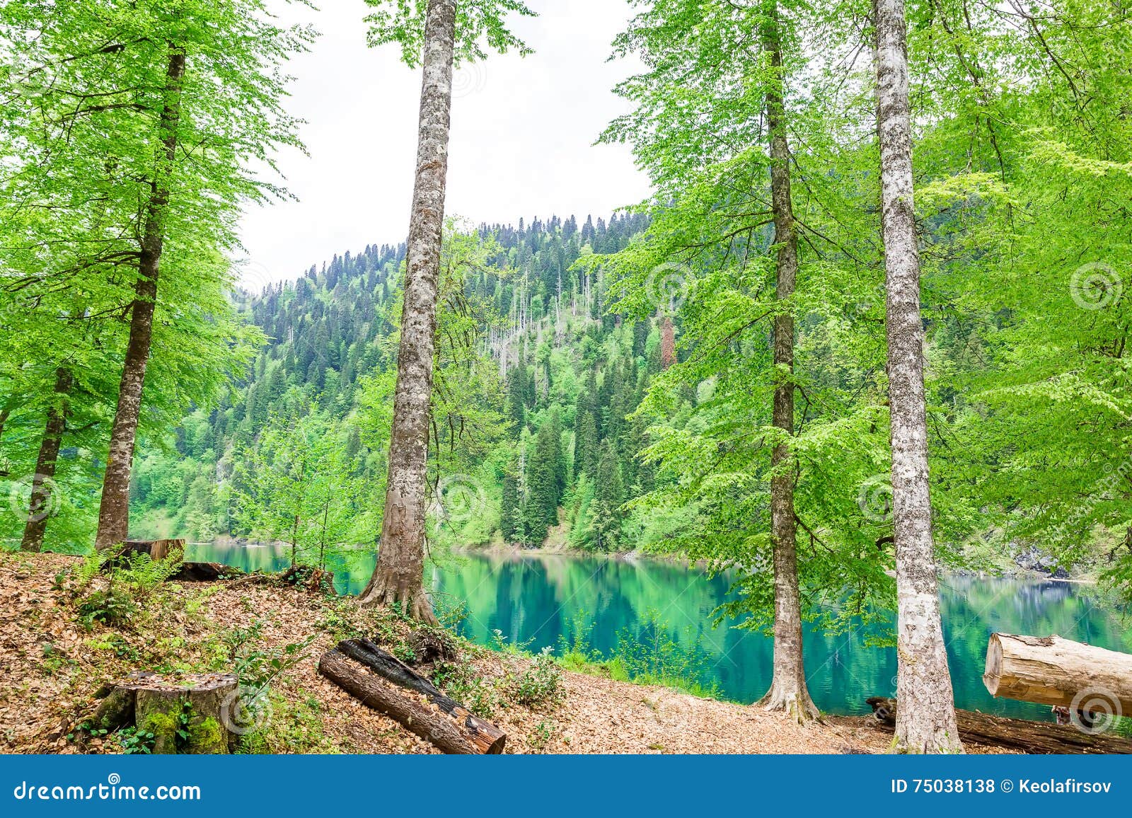 The Crystal Blue Lake in the Mountains Stock Photo - Image of canada ...