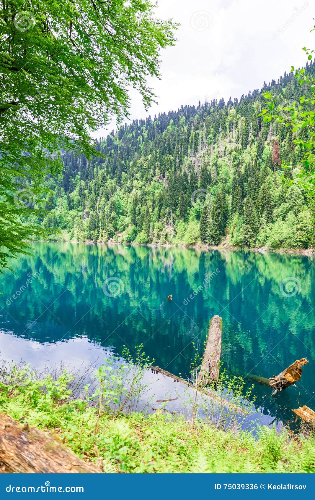 The Crystal Blue Lake in the Mountains Stock Photo - Image of ...
