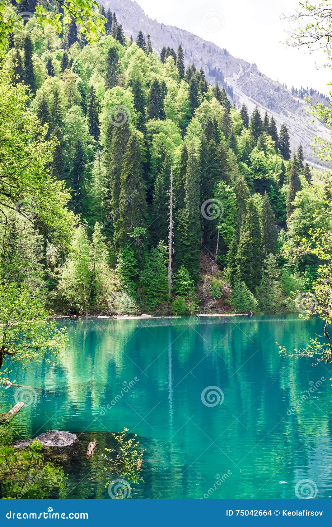 The Crystal Blue Lake in the Mountains Stock Photo - Image of national ...