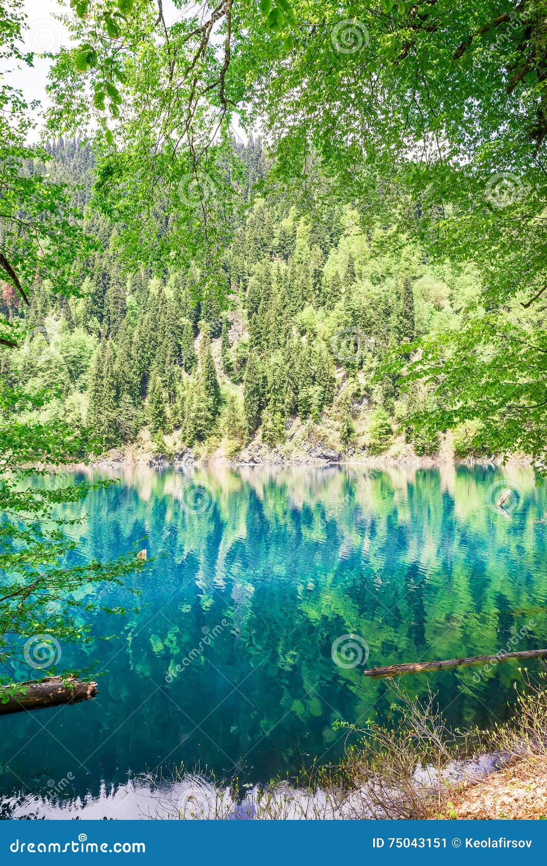 The Crystal Blue Lake in the Mountains Stock Image - Image of green ...