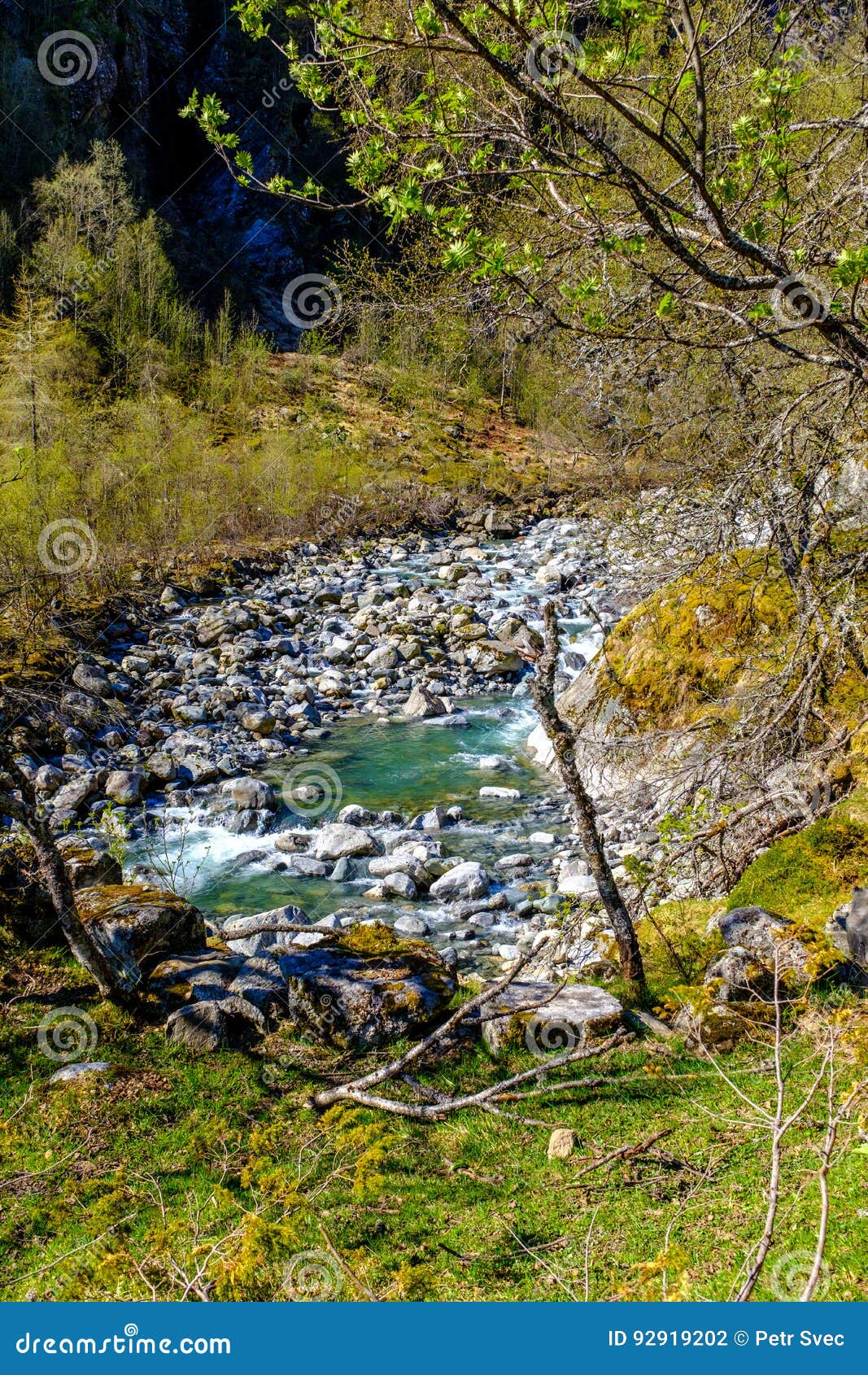 Crystal clean stream stock photo. Image of cold, water - 92919202