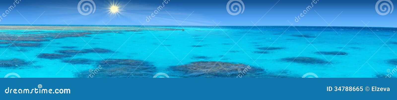 Crystal Clear Coral Water of a Red Sea Stock Image - Image of clear ...