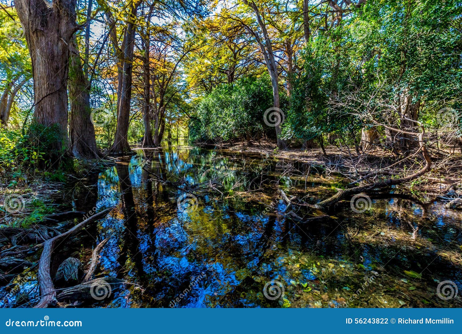 River Deep In The Amazon Rainforest, Ecuador Royalty-Free Stock ...
