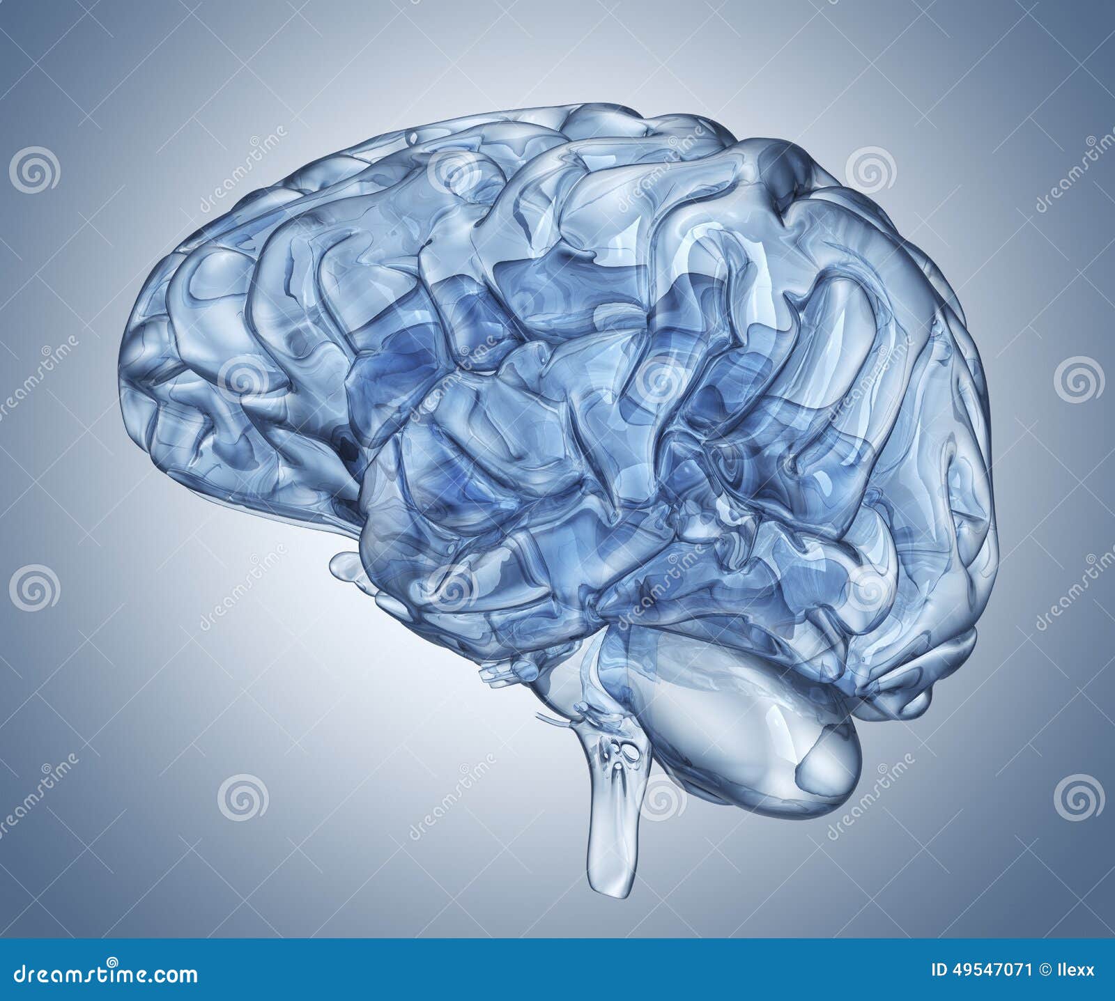 Brain With Clipping Mask Royalty-Free Stock Image | CartoonDealer.com ...