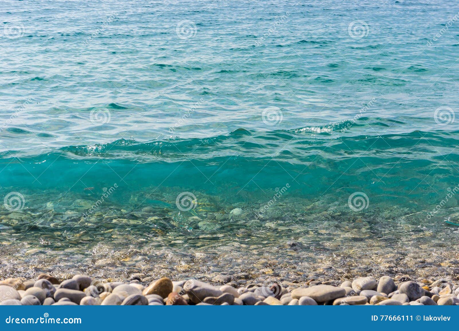 Crystal clear ocean water. stock image. Image of clear - 77666111