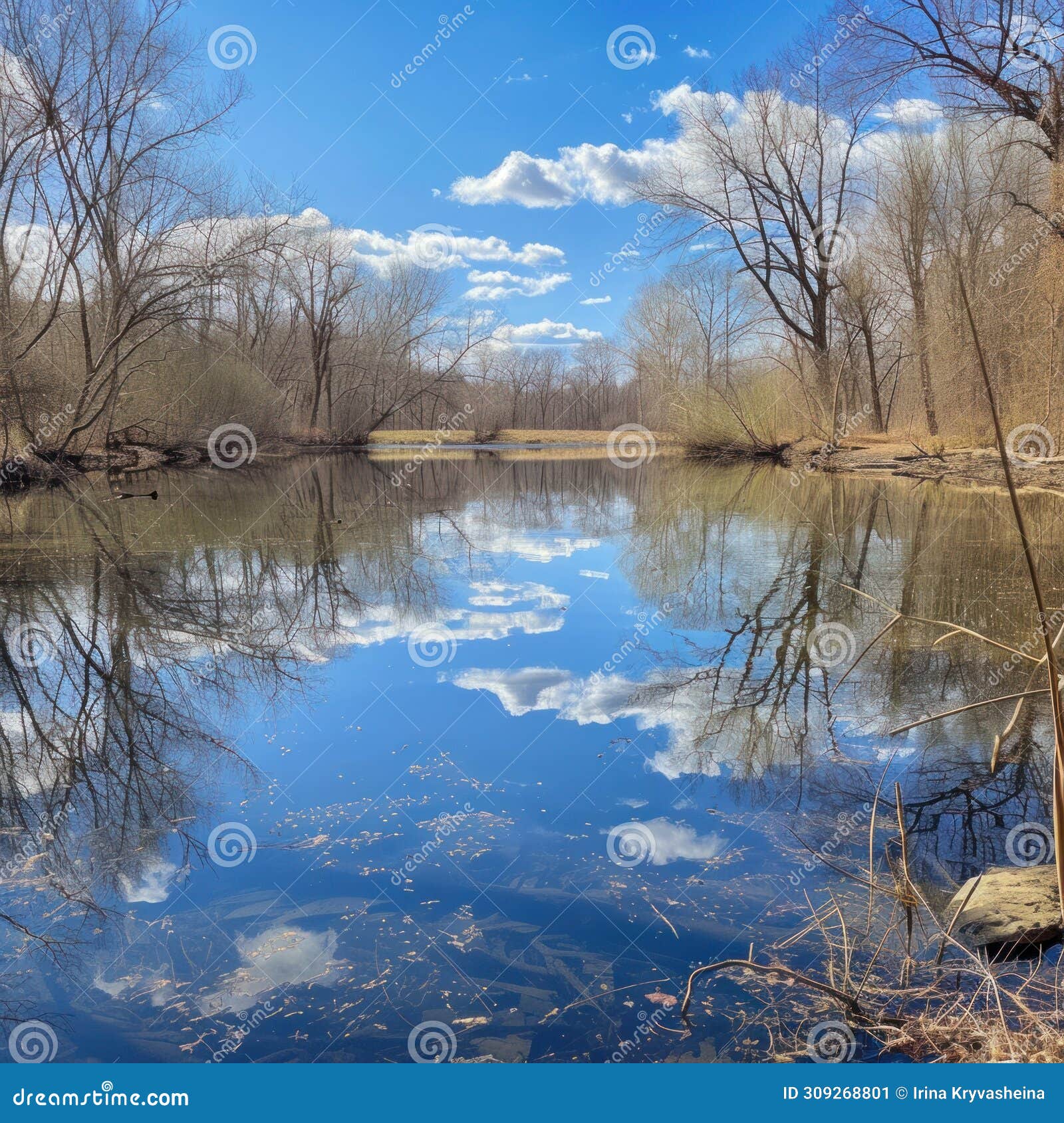 A Crystal-clear Pond Reflects the Azure Sky and Budding Trees, Creating ...