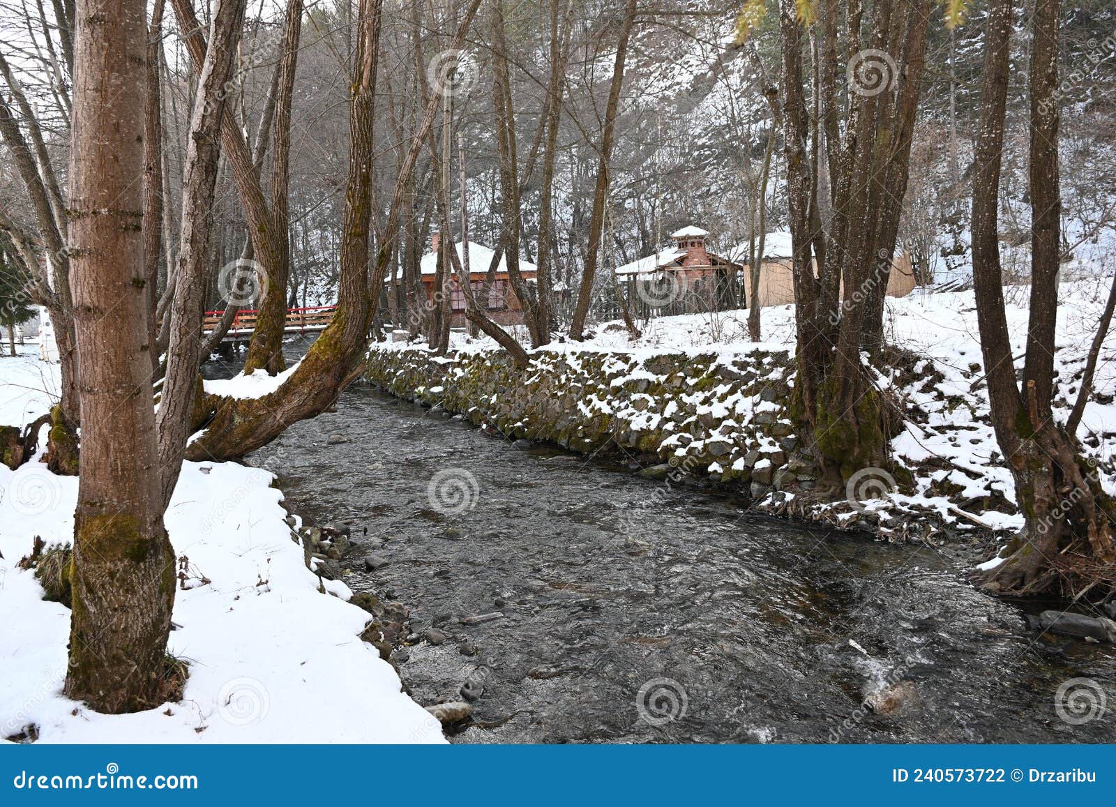 Crystal Clear and Pure Water in a Mountain Stream Stock Photo - Image ...