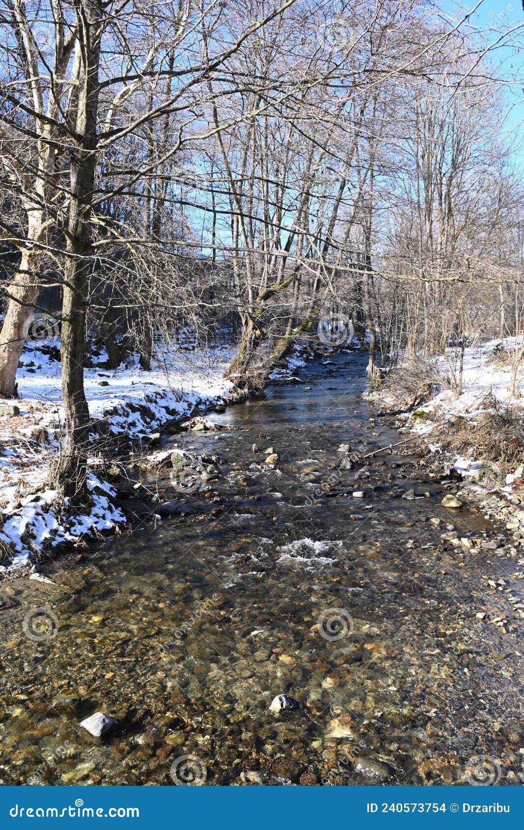 Crystal Clear and Pure Water in a Mountain Stream Stock Photo - Image ...