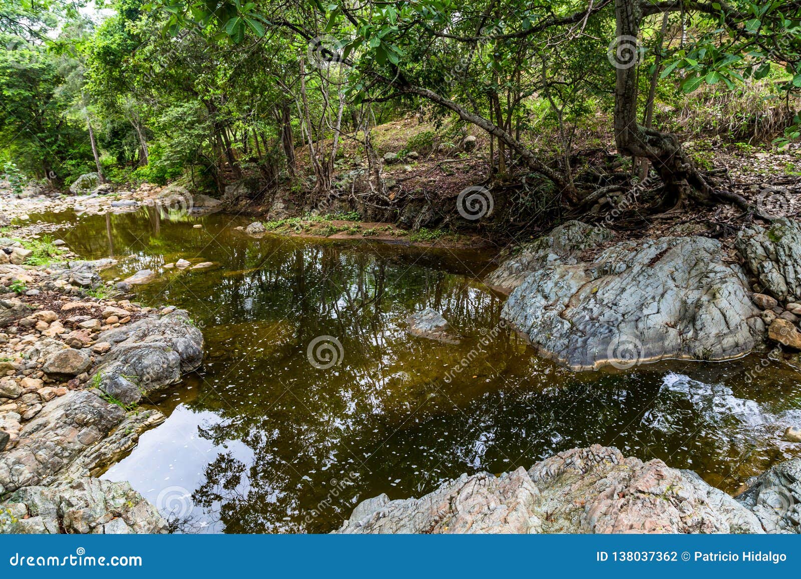 Crystal clear river stock photo. Image of clear, creek - 138037362