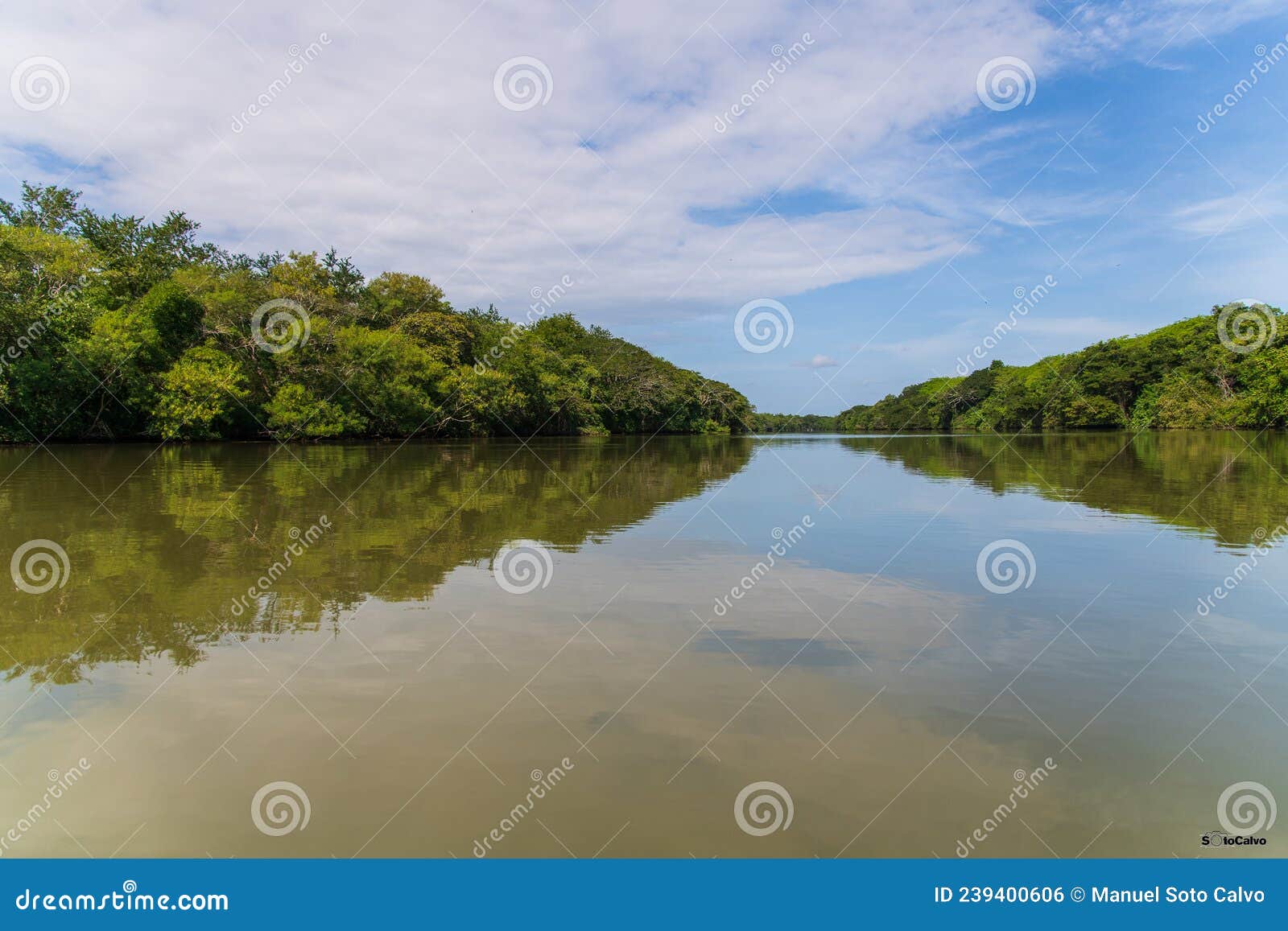 Crystal Clear River with Sky and Border Vegetation Reflected Stock ...