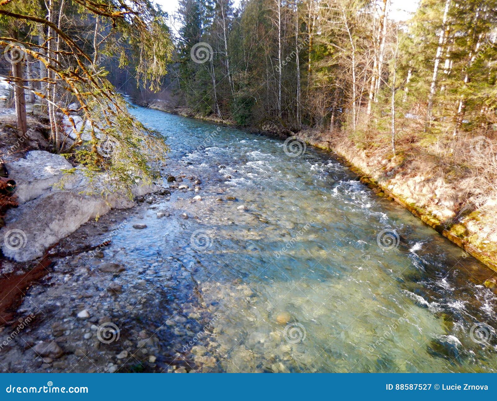 Crystal Clear River Stream in Mountain Forest Stock Image - Image of ...