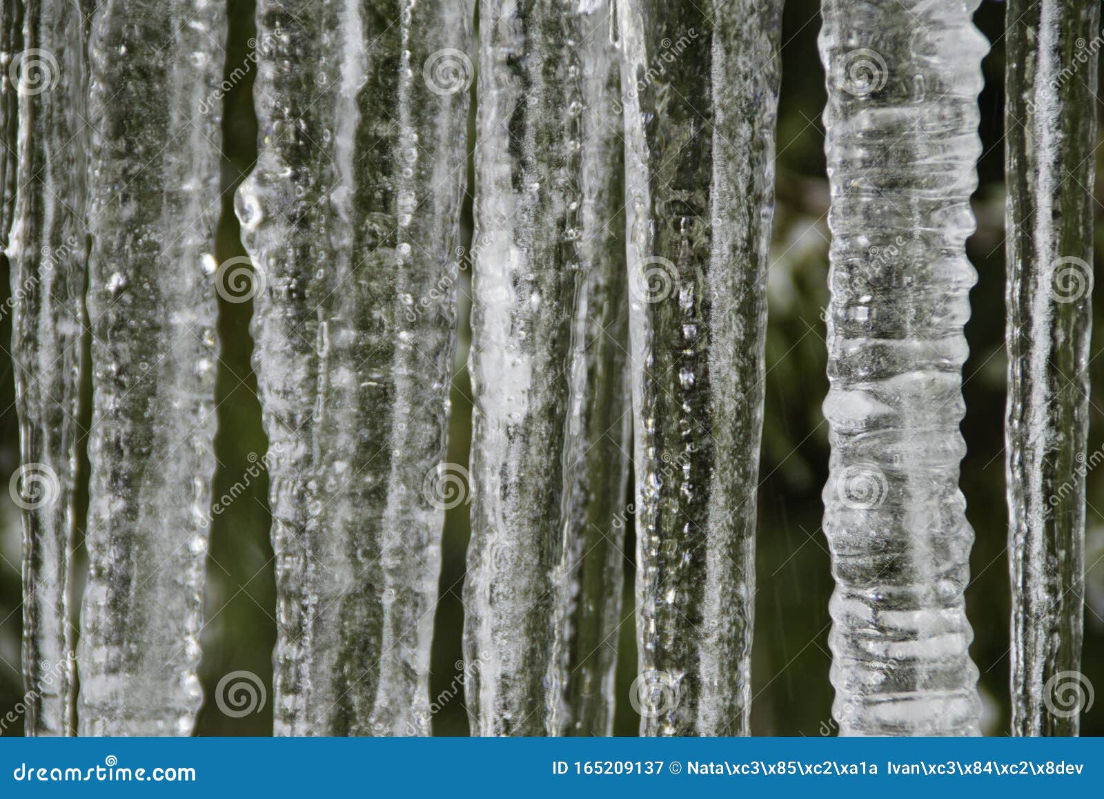 Crystal Clear Sharp Frozen Icicles Hanging Down Stock Image - Image of ...