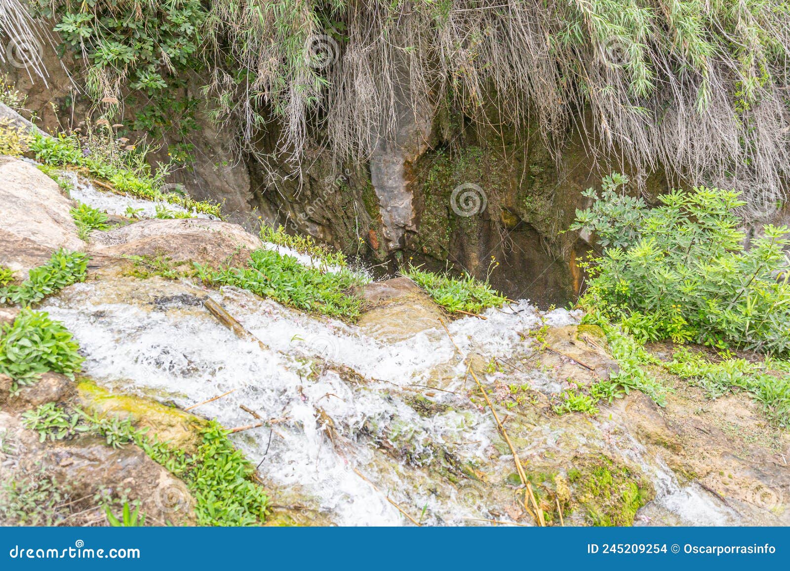Crystal Clear Spring Water Trickling Down a Hillside Stock Photo ...