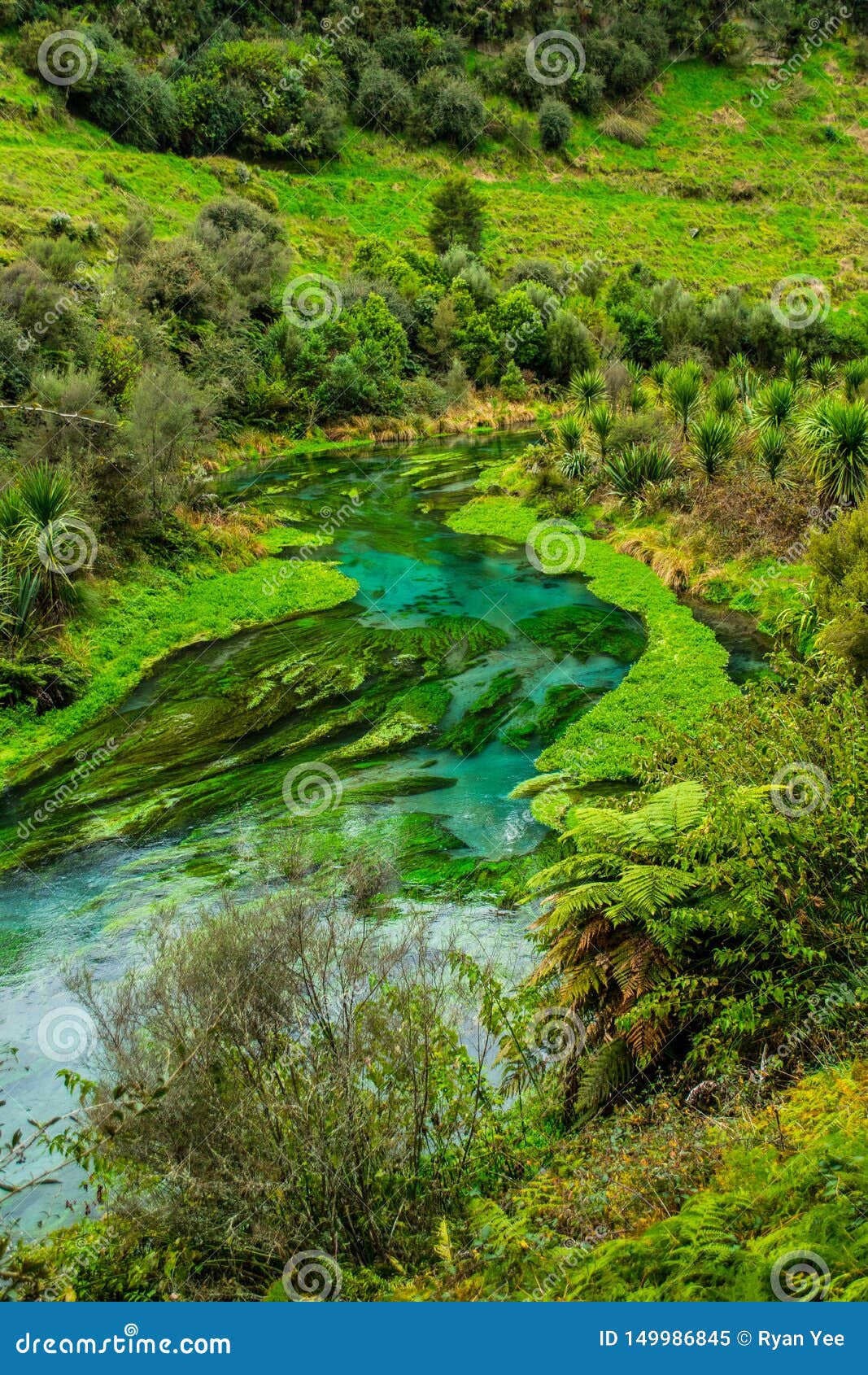 Crystal clear stream stock image. Image of clean, background - 149986845