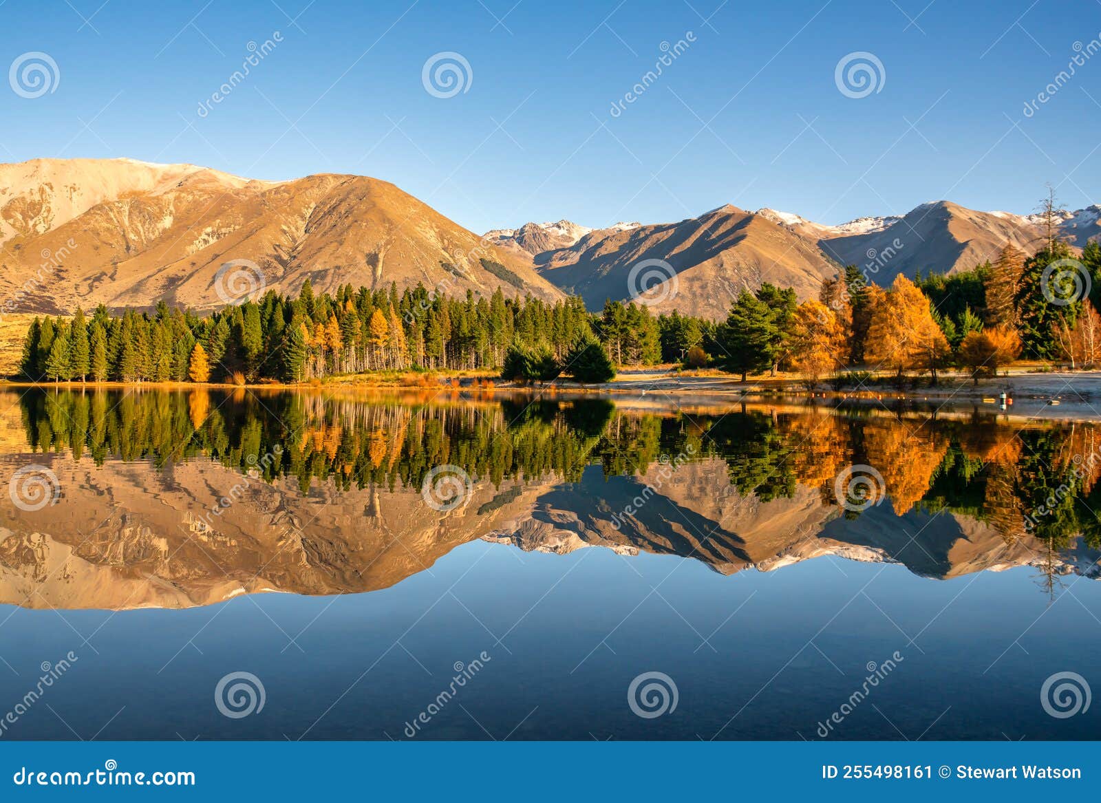Symmetrical Reflections of the Mountains and Forest on the Surface of ...