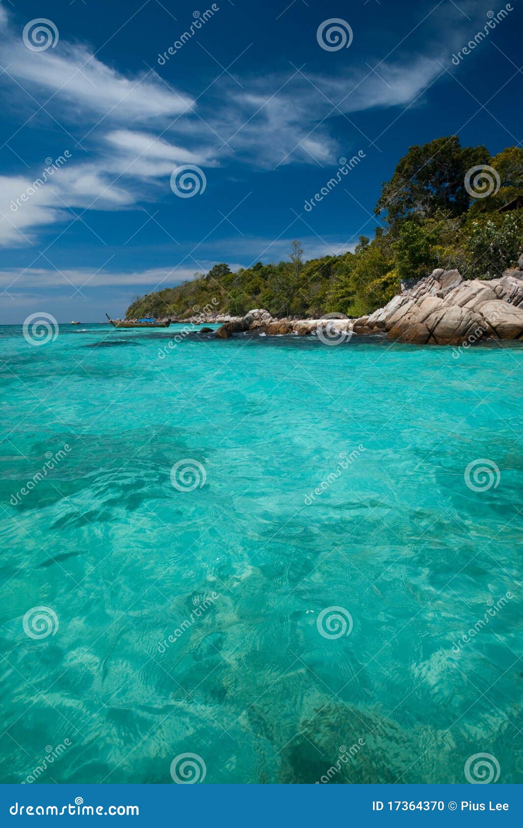 Crystal Clear Water Jungle Edge Stock Photo - Image of asia, jungle ...