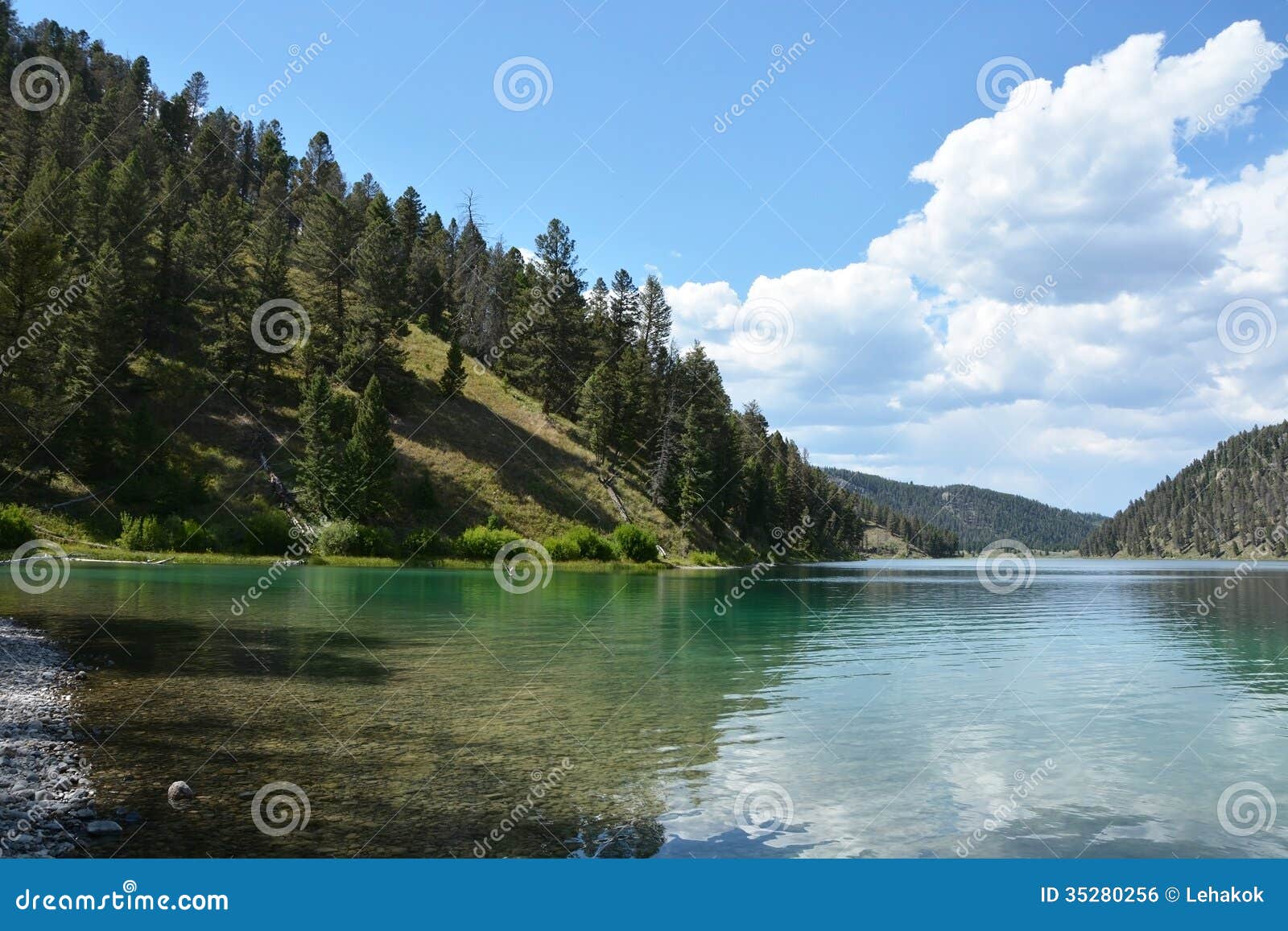 Crystal Clear Water at the Lake Stock Photo - Image of green, natural ...