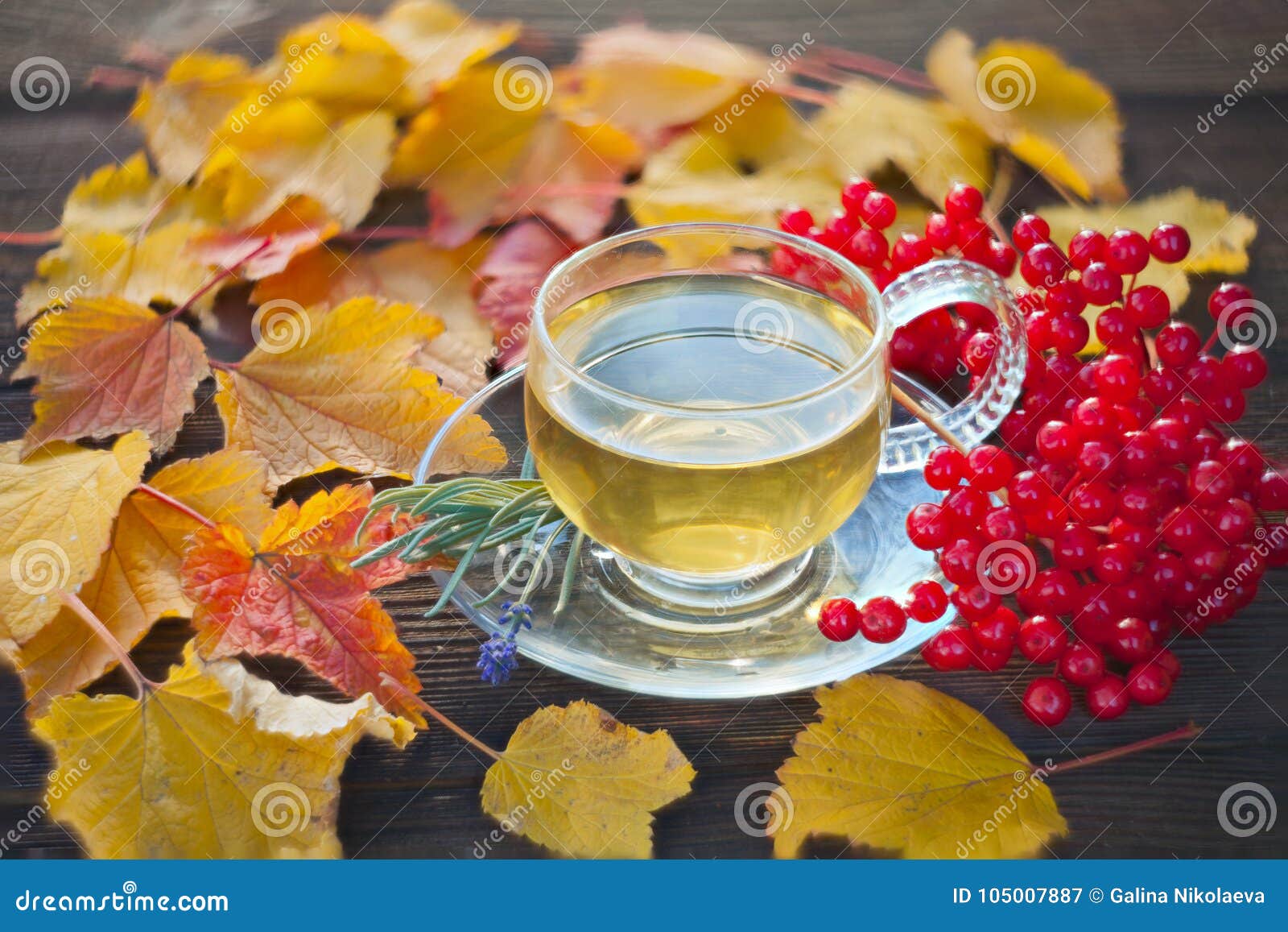 Crystal Cup with Green Tea on Table Stock Image - Image of green ...