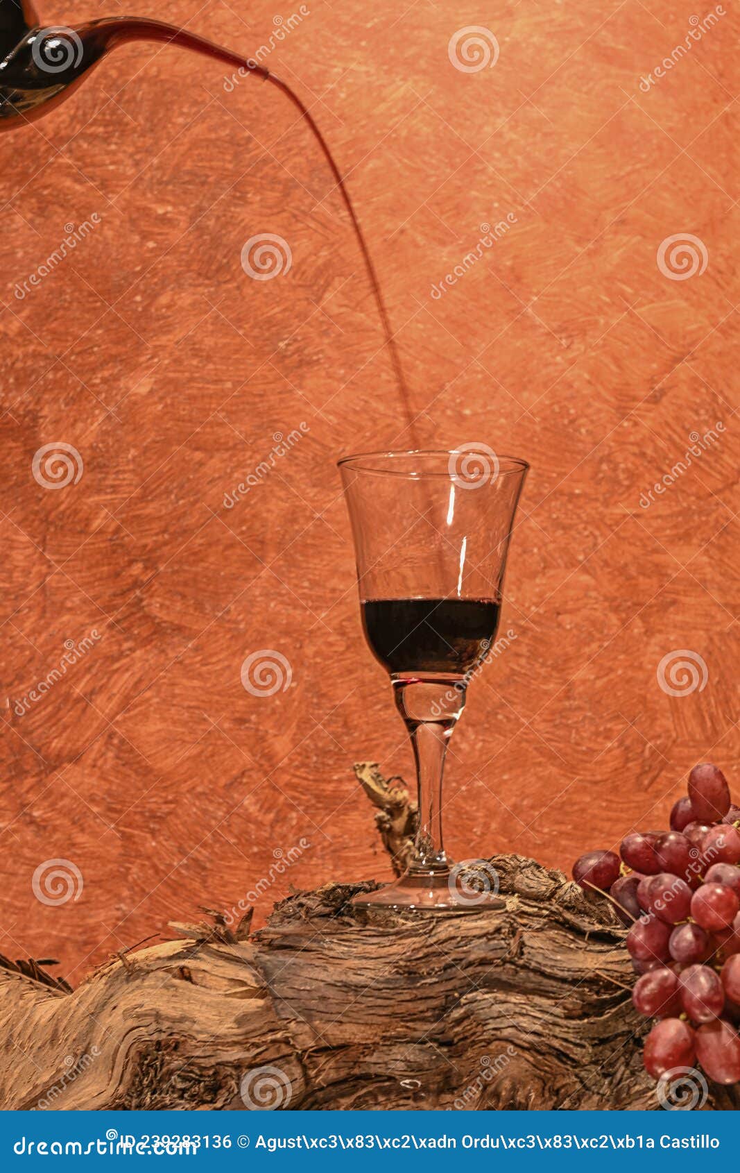 Service of Different Alcoholic Beverages. Stock Photo - Image of party ...