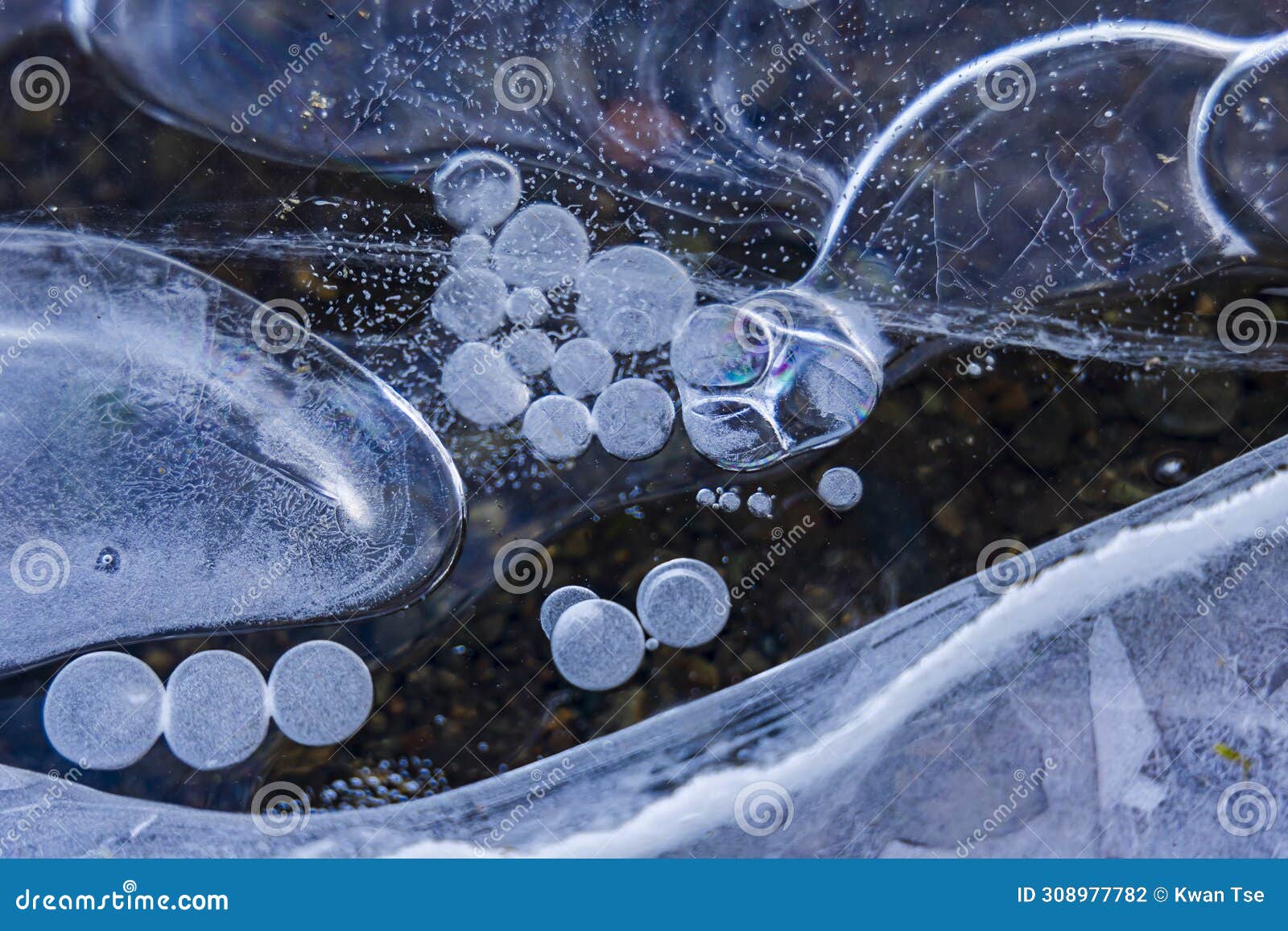 The Crystal Ice Flower Pattern on the Water Surface of Lake Tapps in ...