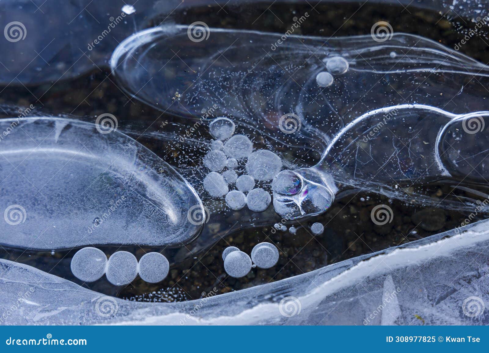 The Crystal Ice Flower Pattern on the Water Surface of Lake Tapps in ...