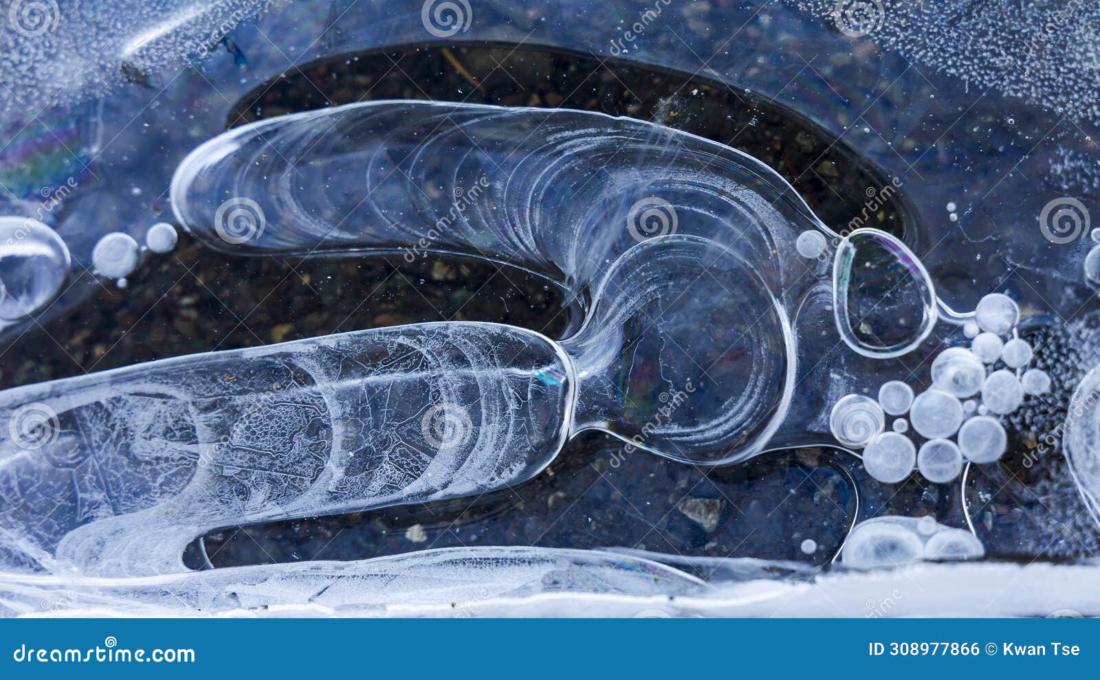 The Crystal Ice Flower Pattern on the Water Surface of Lake Tapps in ...
