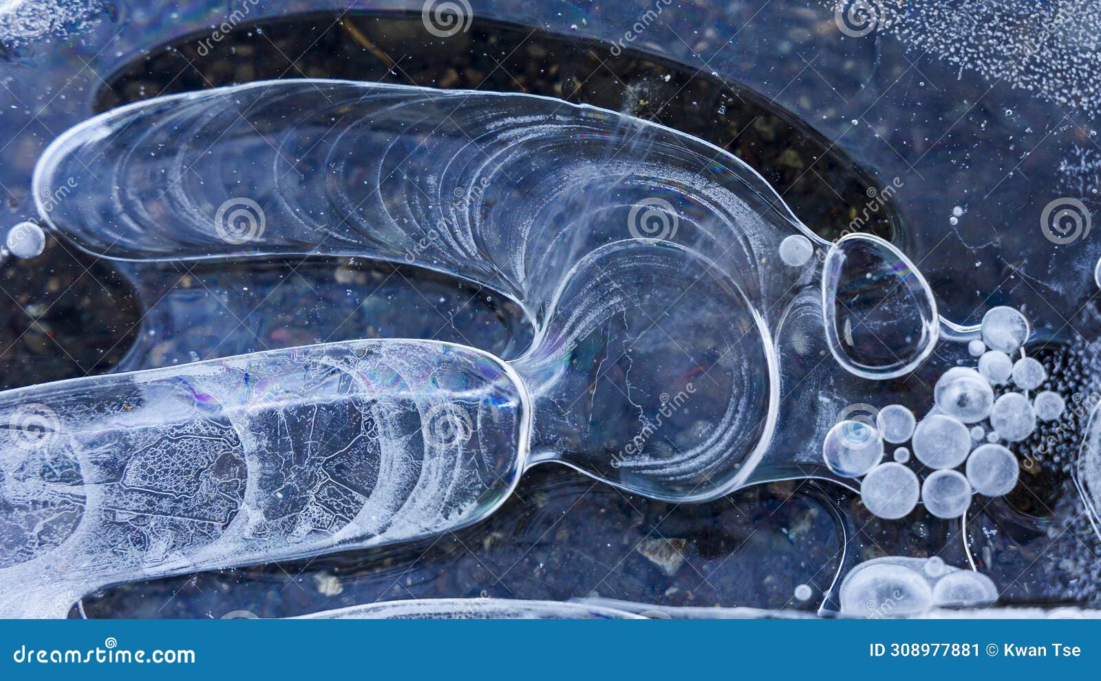 The Crystal Ice Flower Pattern on the Water Surface of Lake Tapps in ...