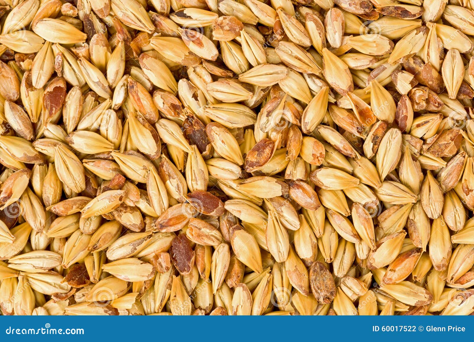 Crystal 10L Malt stock photo. Image of homebrewing, roasted - 60017522