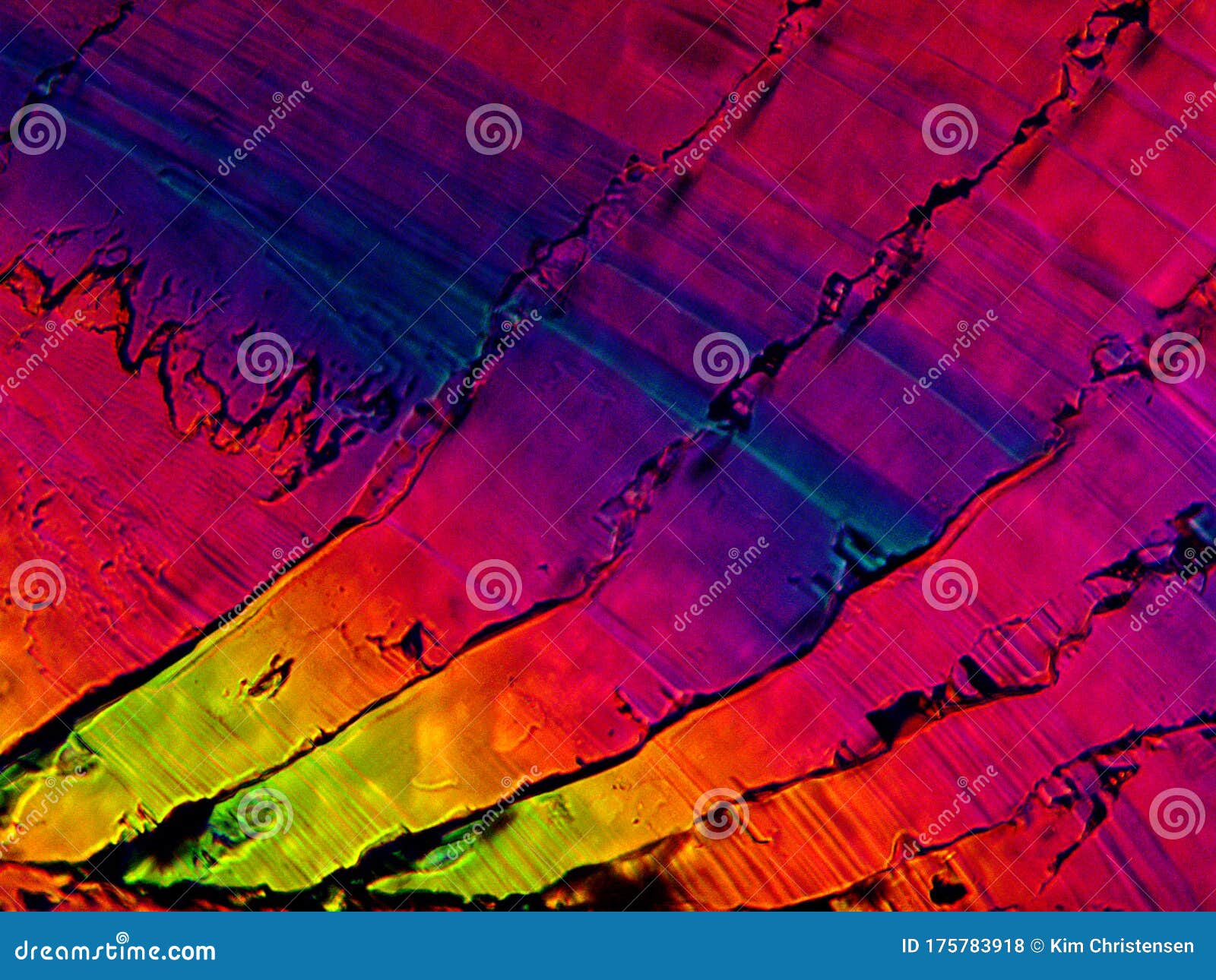 Crystal Layer on Microscope Object Glass, Seen in Polarized Light. this ...