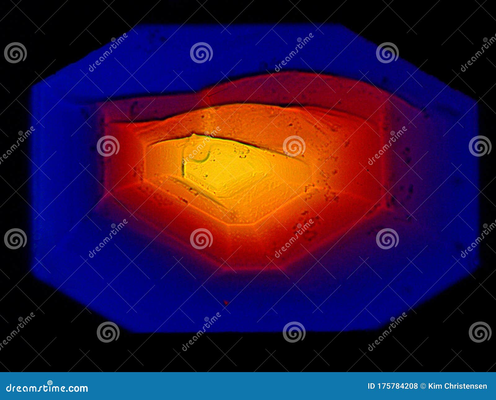 Crystal Layer On Microscope Object Glass, Seen In Polarized Light ...