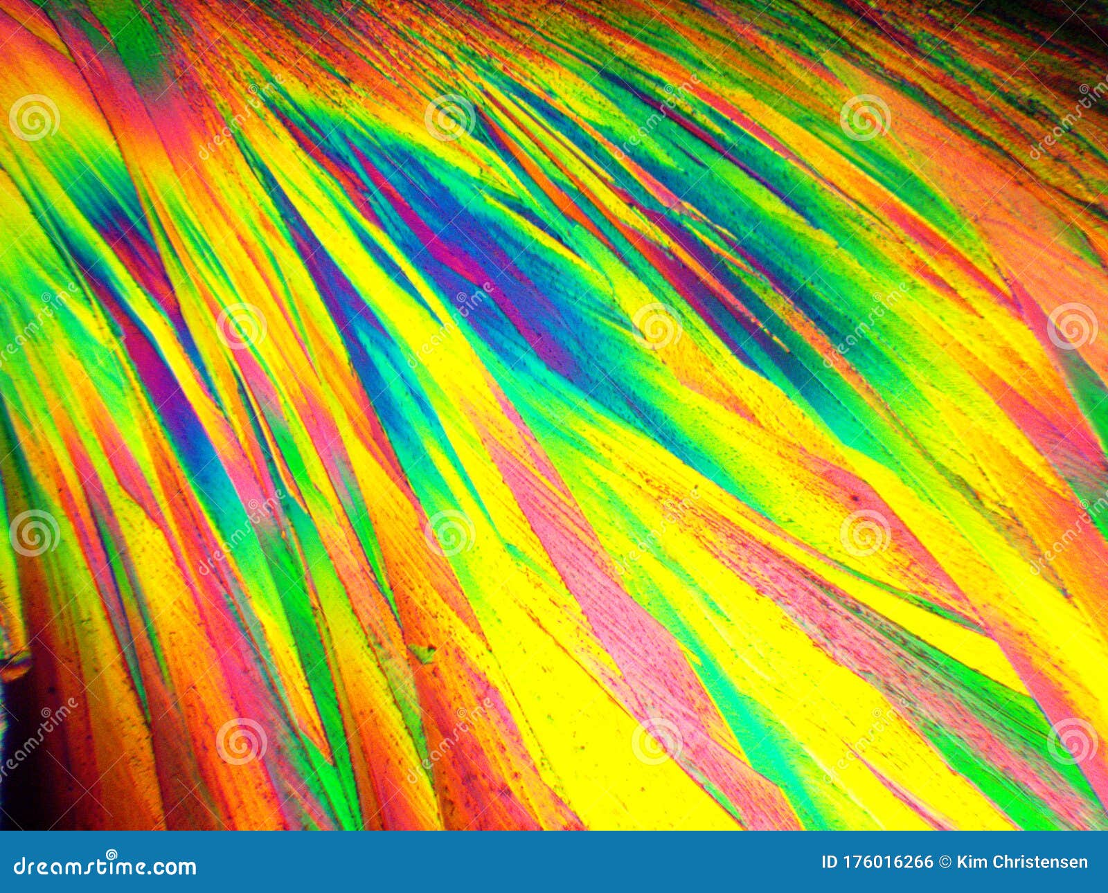 Crystal Layer on Microscope Object Glass, Seen in Polarized Light. this ...
