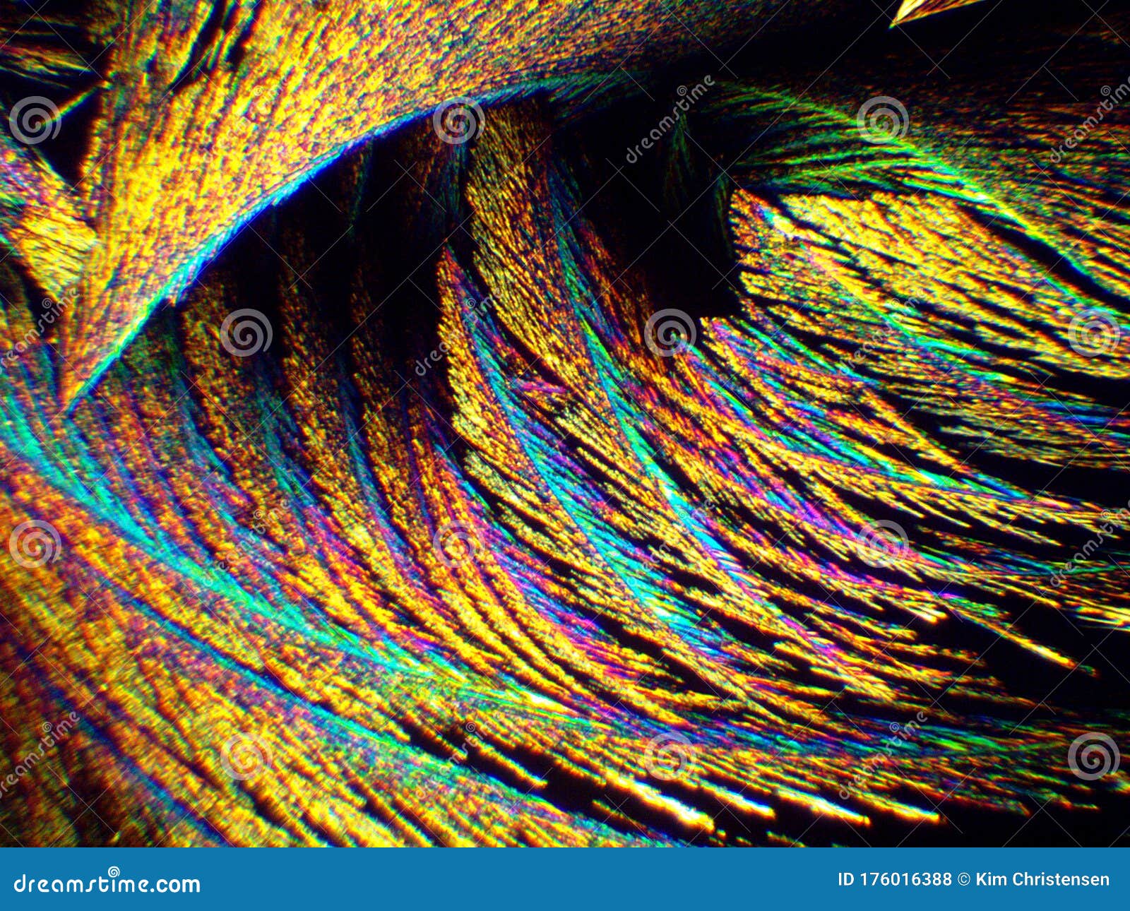 Crystal Layer on Microscope Object Glass, Seen in Polarized Light ...