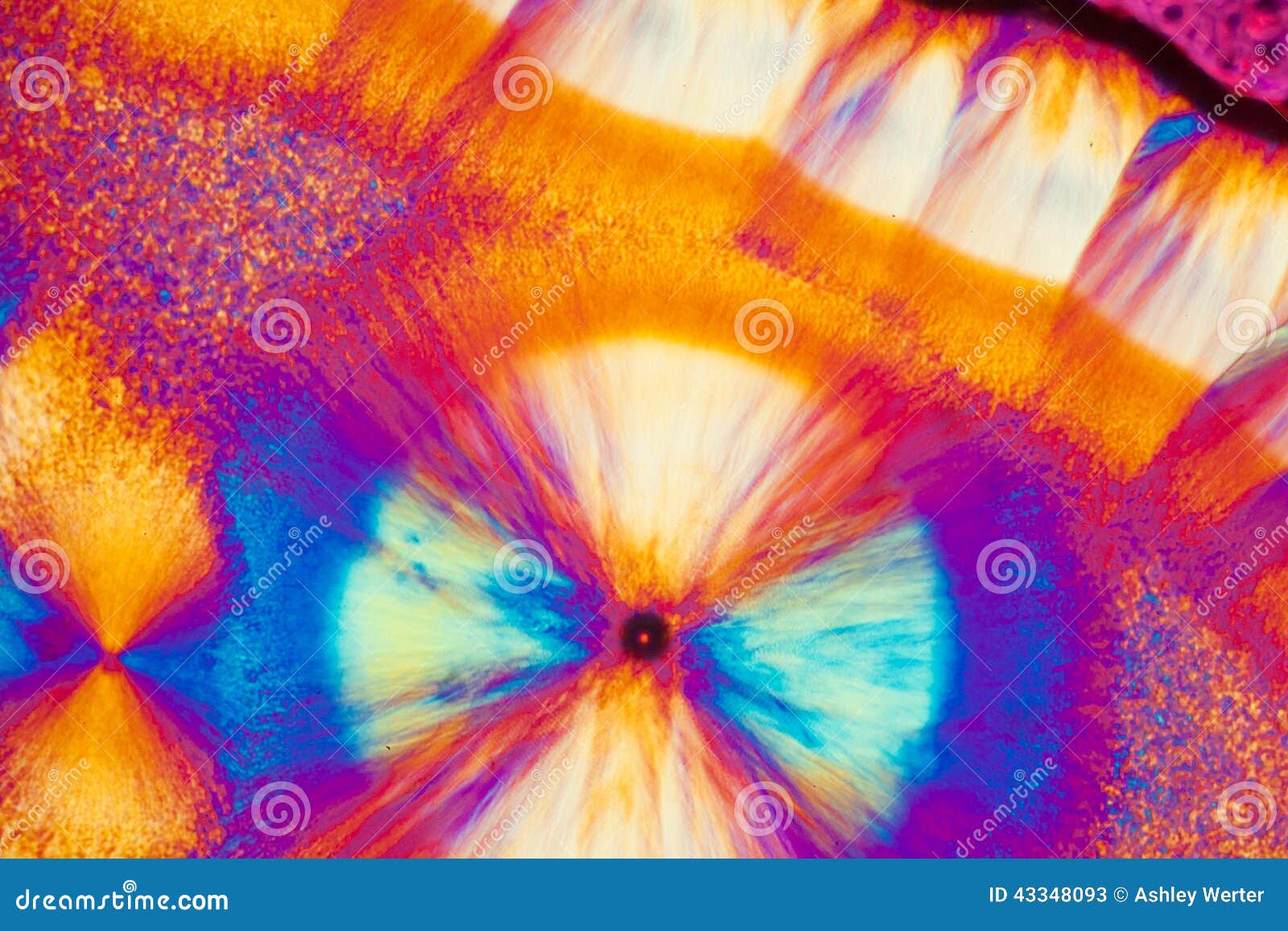Crystal micrography stock image. Image of macro, micrography - 43348093