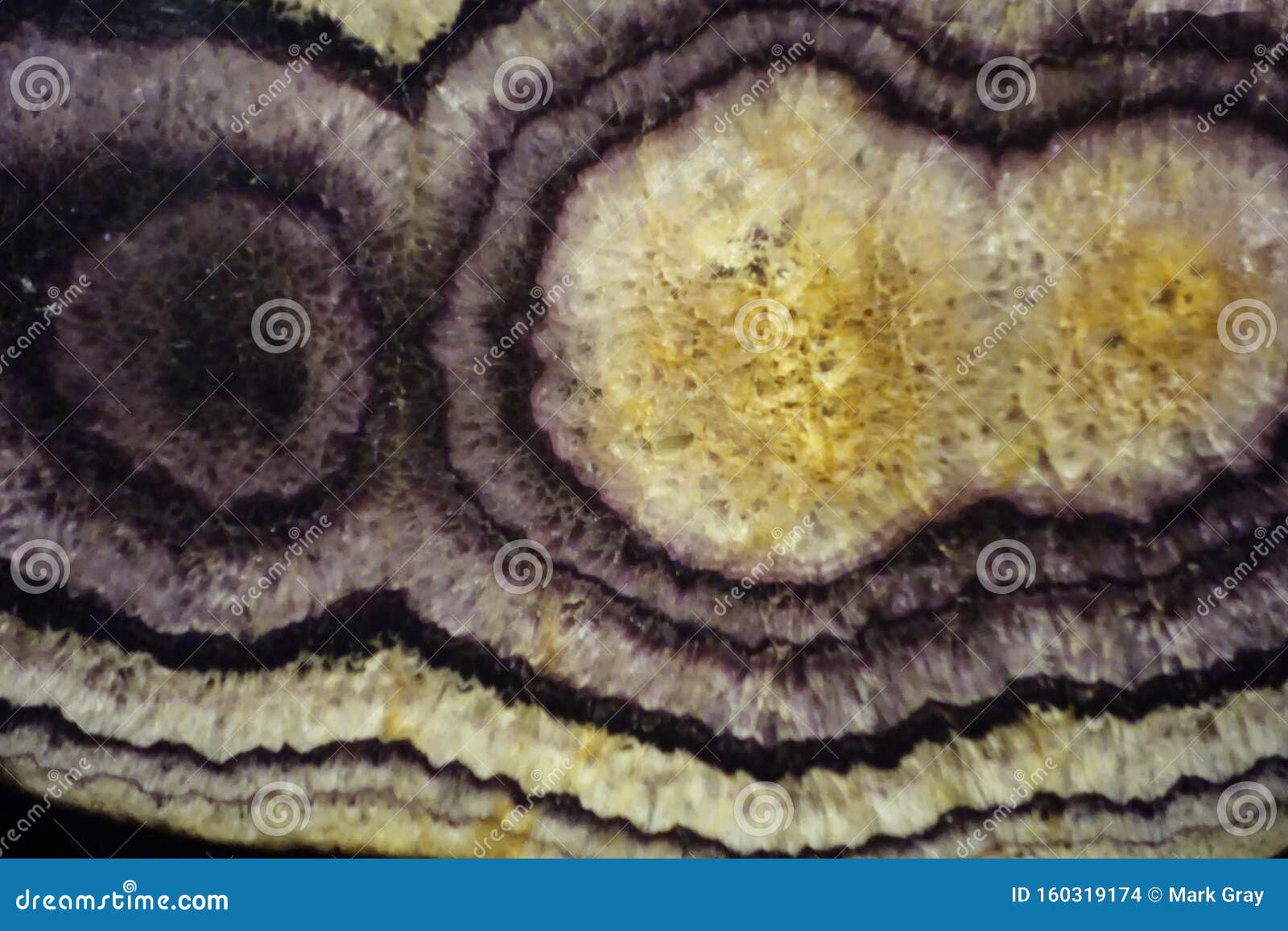 Crystal Patterns on a Gemstone Stock Photo - Image of crystal, rock ...