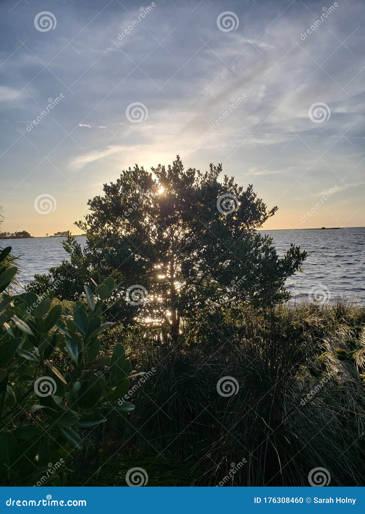 Crystal River Florida Beach Paradise Stock Photo - Image of river ...