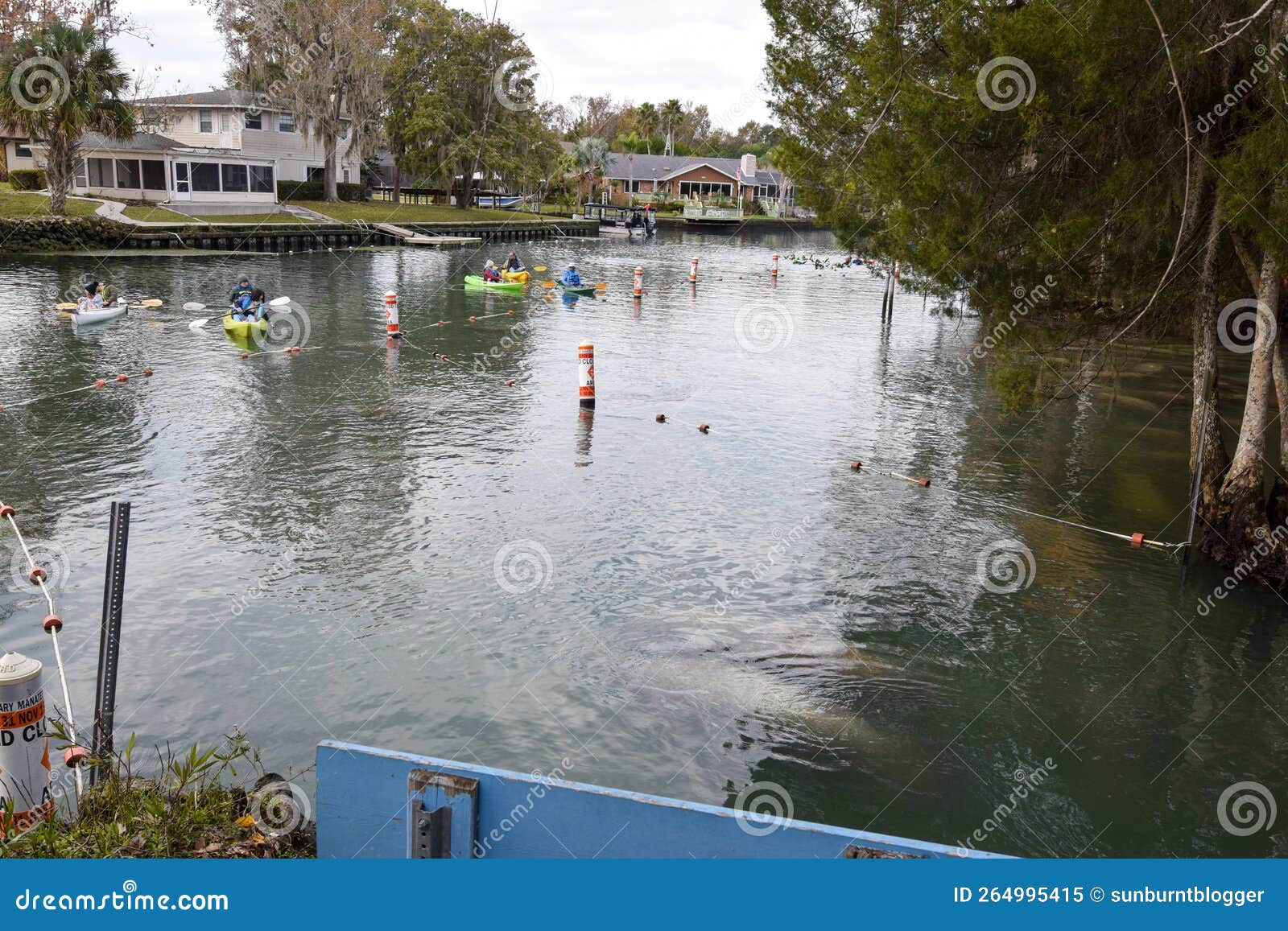 Crystal River, Three Sisters Springs December 26 2022 Editorial Image ...