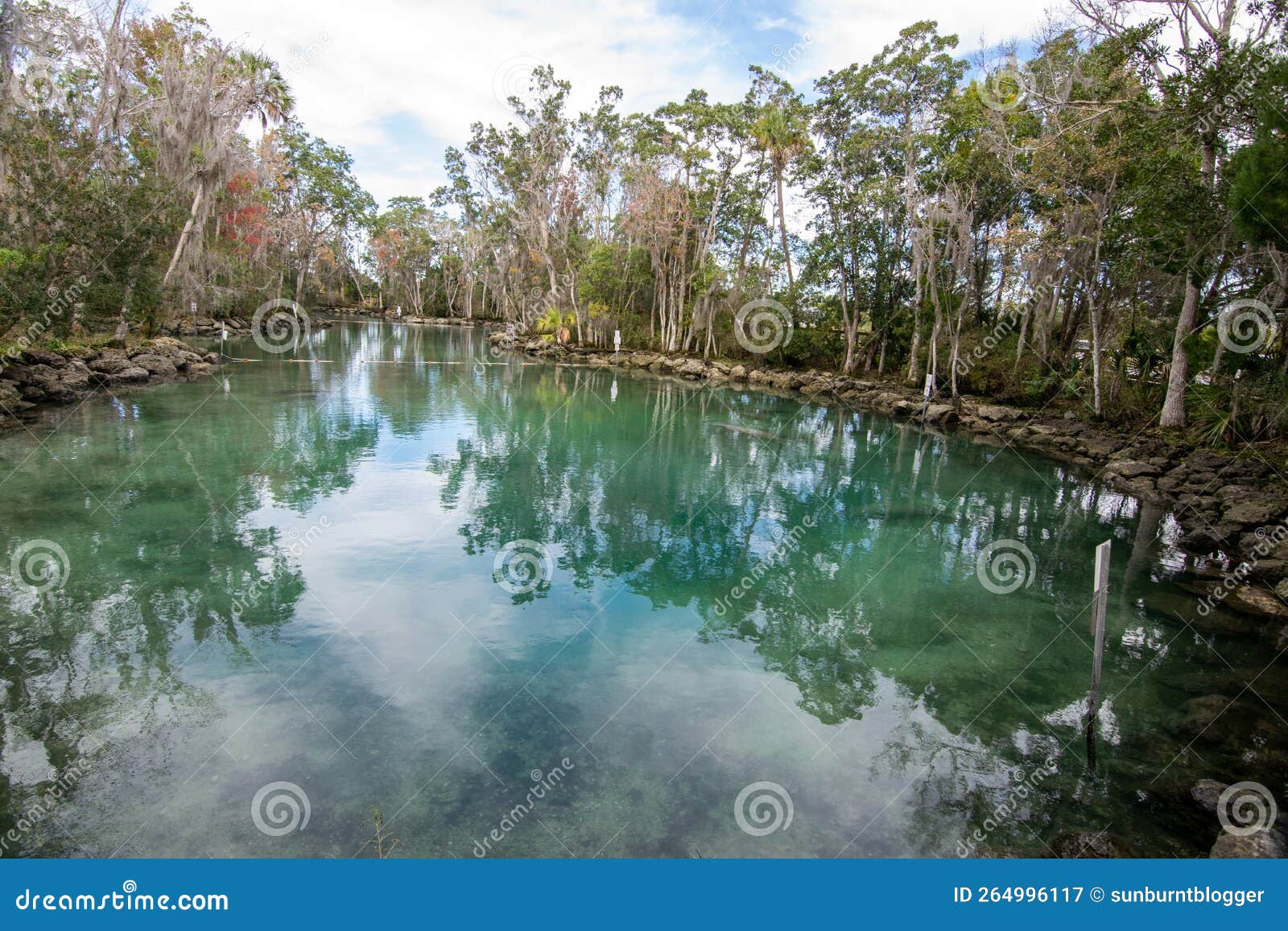 Crystal River, Three Sisters Springs December 26 2022 Editorial ...
