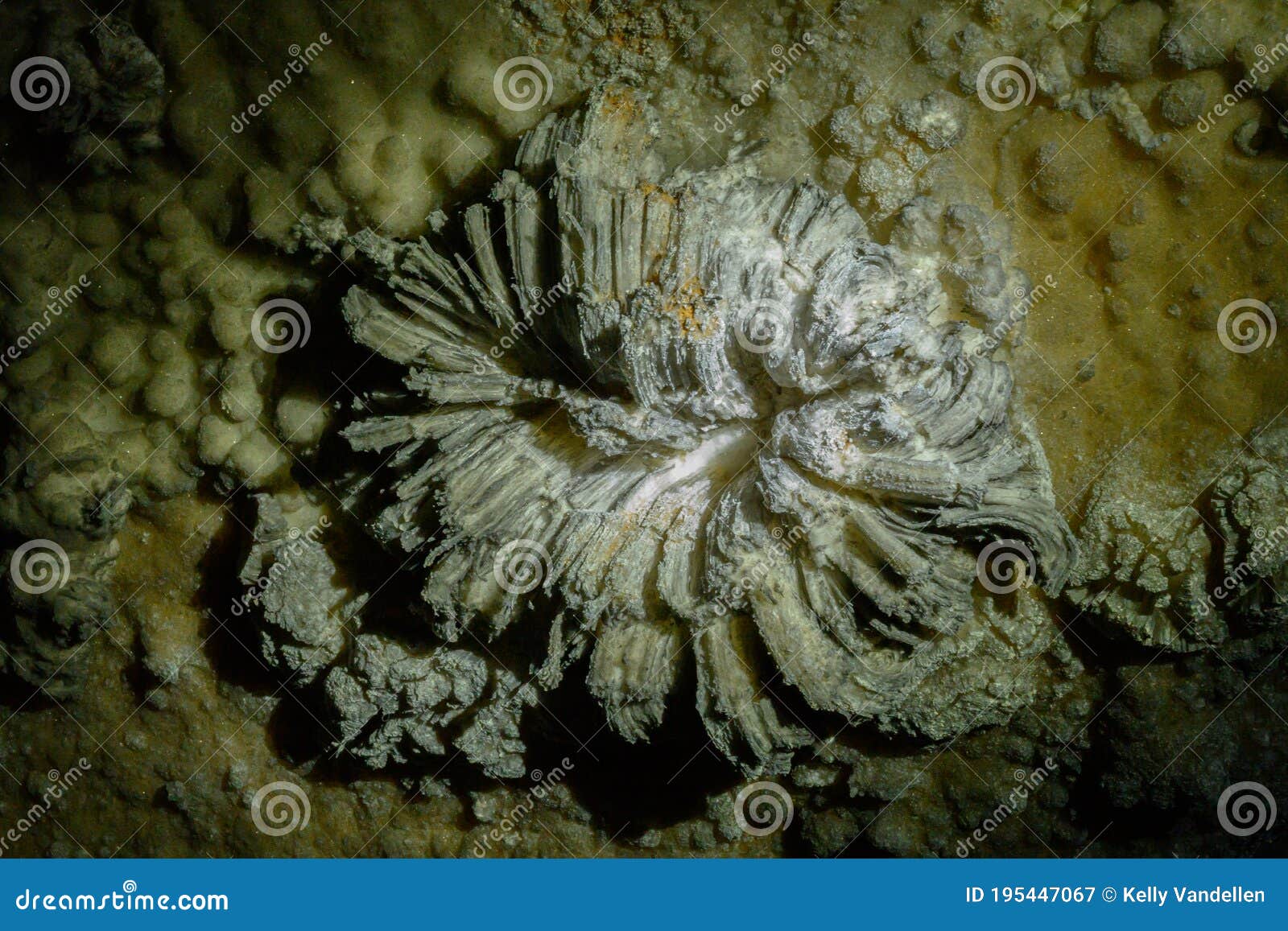 Crystal Rock Formation in Mammoth Cave Stock Image - Image of dark ...
