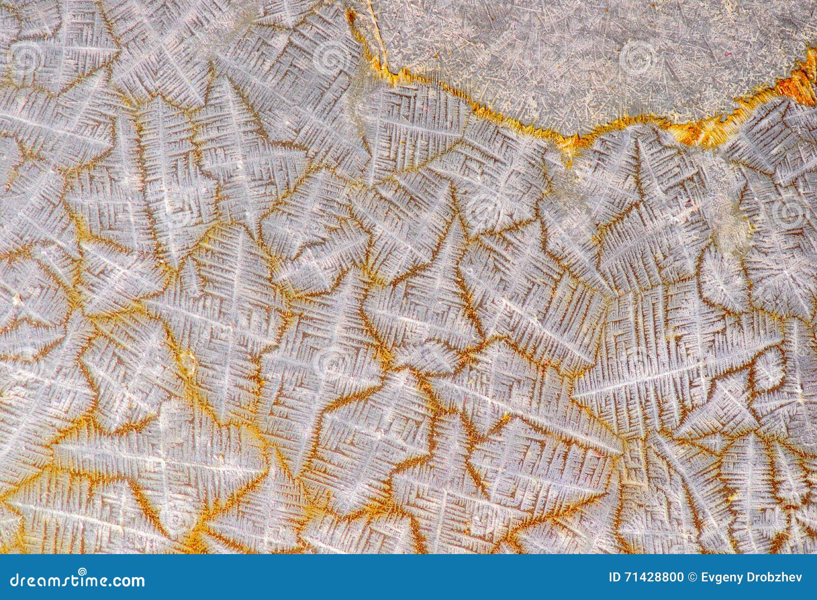 Salt Pattern Royalty-Free Stock Photography | CartoonDealer.com #58589603