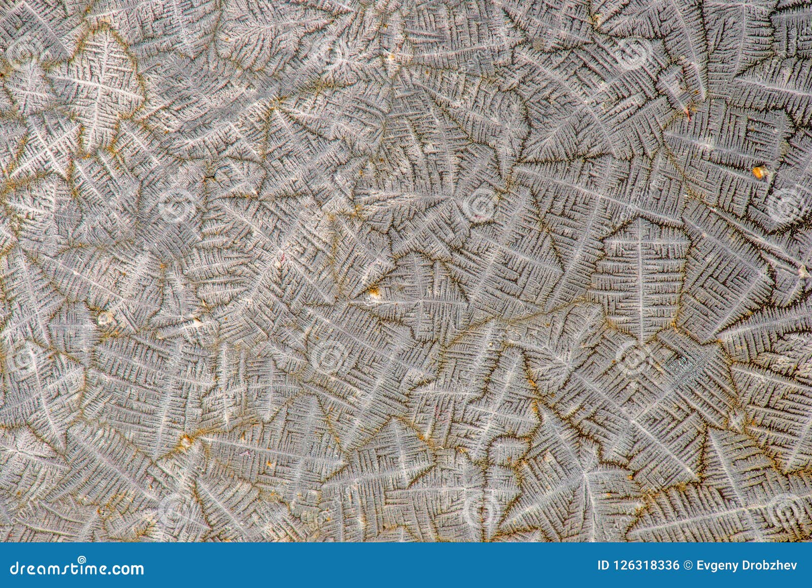 Salt Pattern Royalty-Free Stock Photography | CartoonDealer.com #58589603