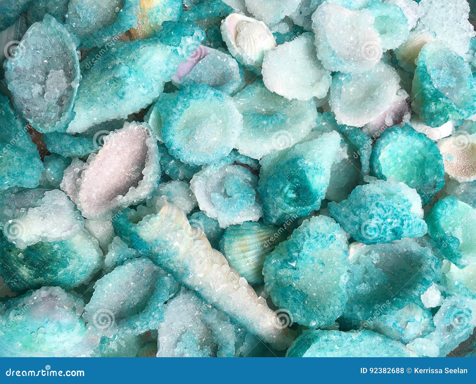 Crystal shells stock photo. Image of seashells, crystallised - 92382688