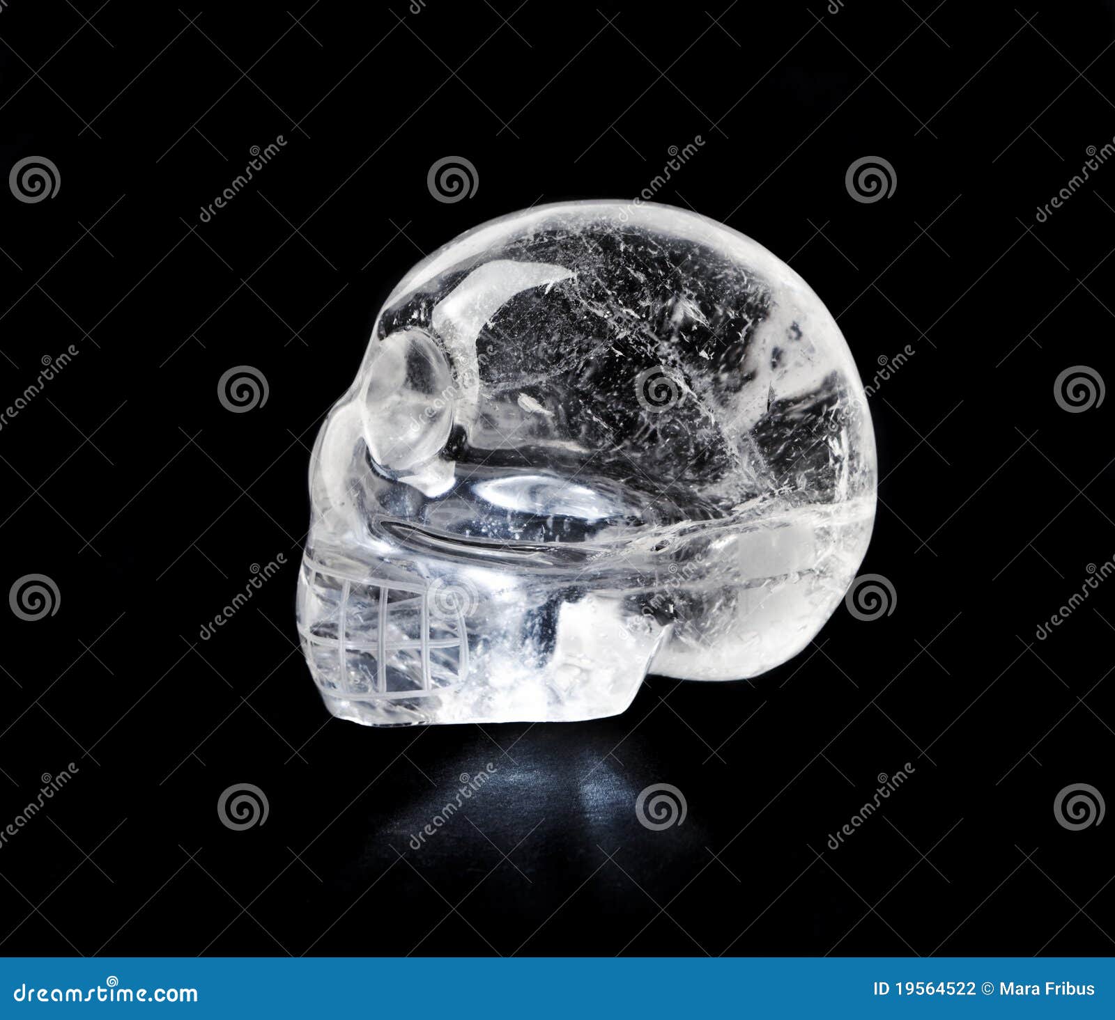 Crystal skull stock photo. Image of scary, maya, culture - 19564522