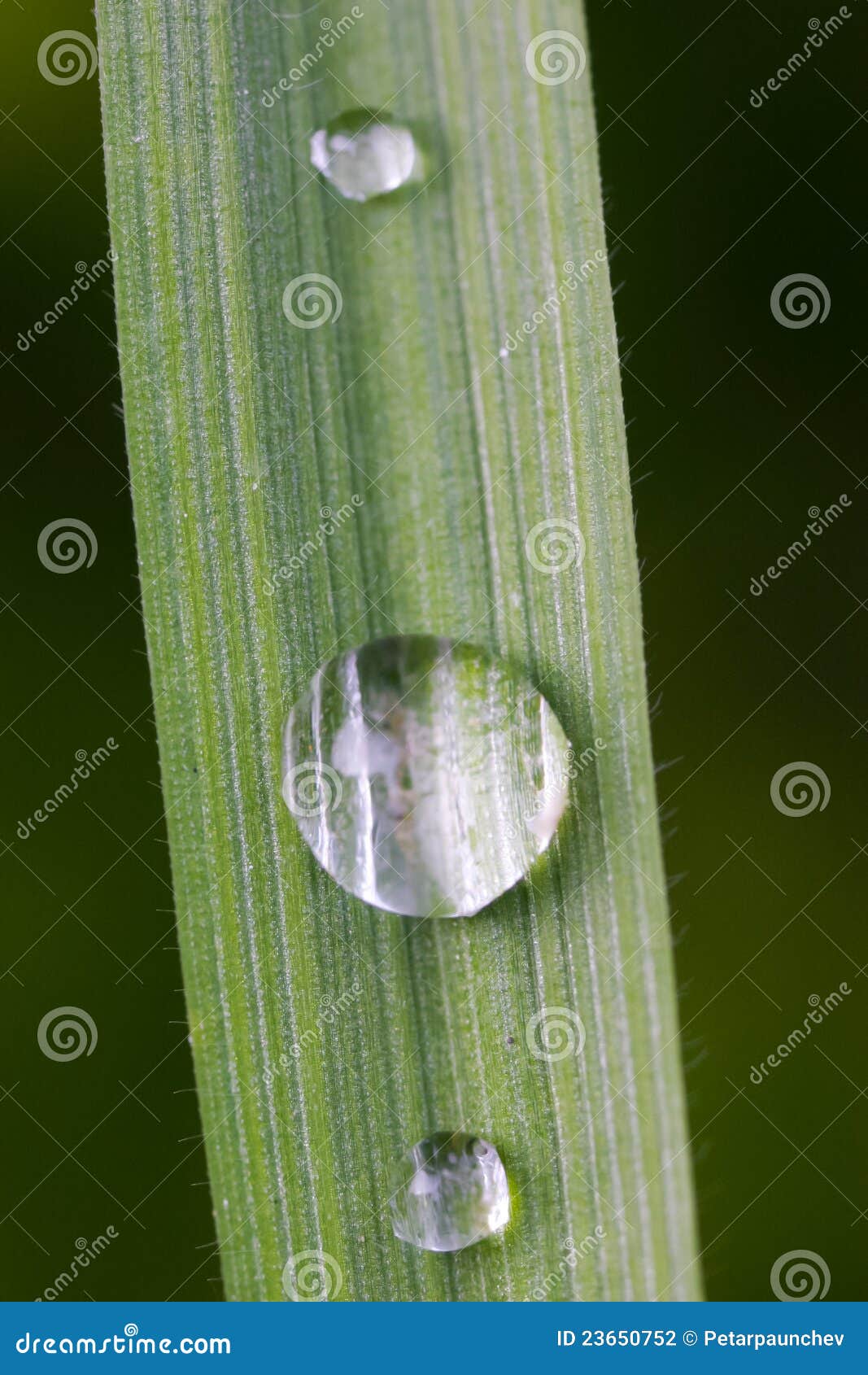Crystal spheres stock photo. Image of pearl, ball, crystal - 23650752