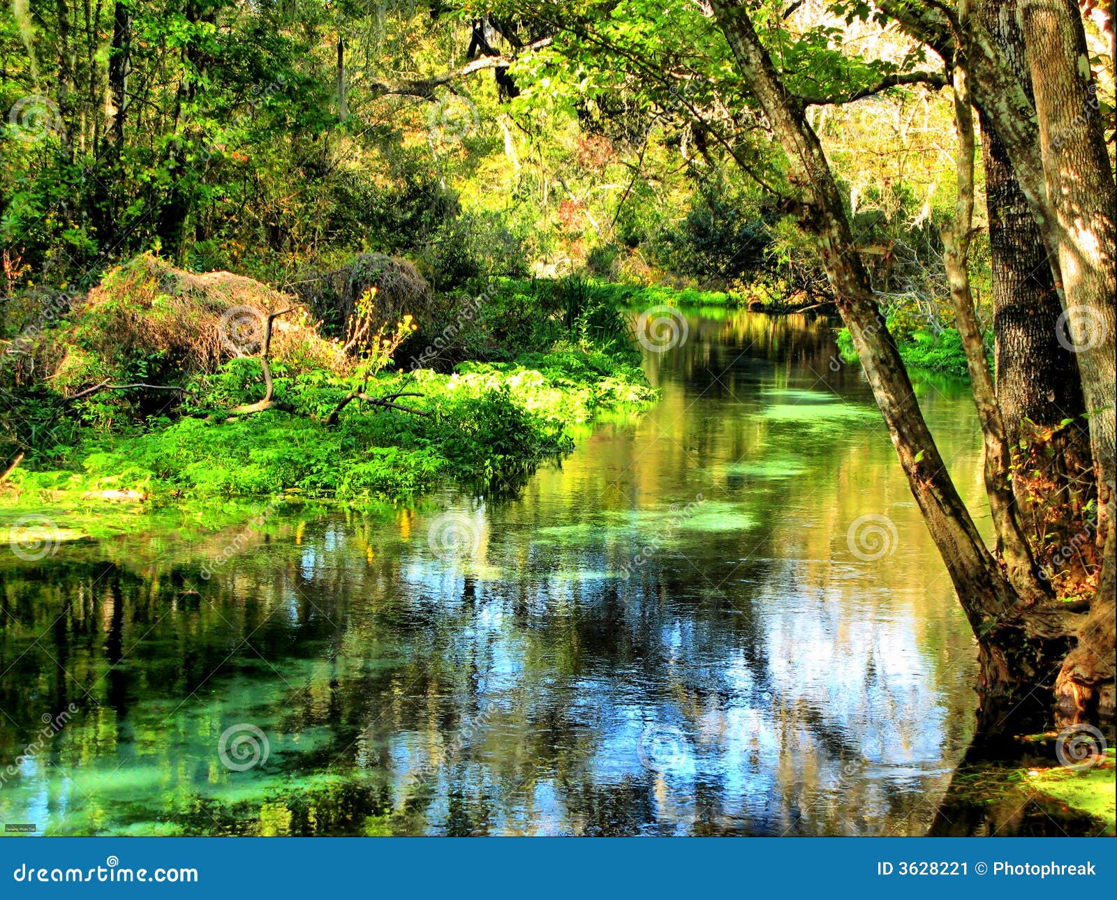 Crystal Springs Dome Stock Photo | CartoonDealer.com #171735588